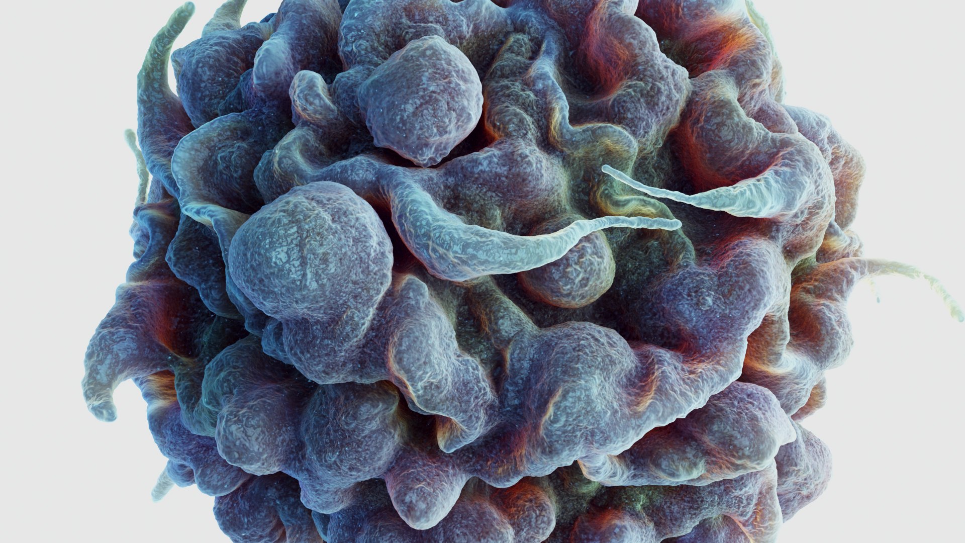 Cancer Cell model - TurboSquid 1909141