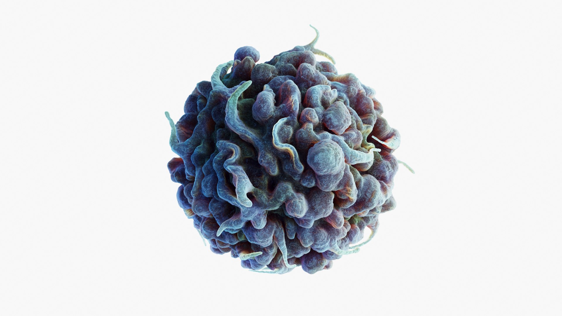 Cancer Cell model - TurboSquid 1909141