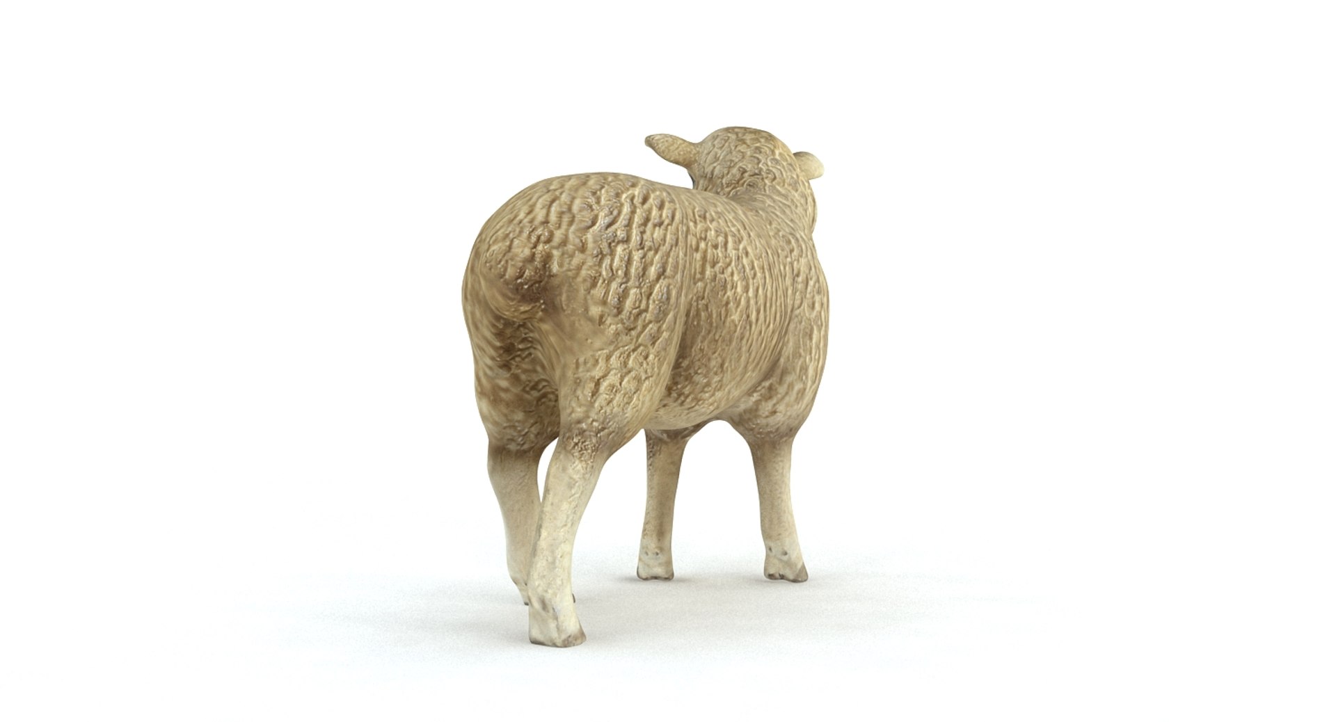 Sheep 3d Dxf