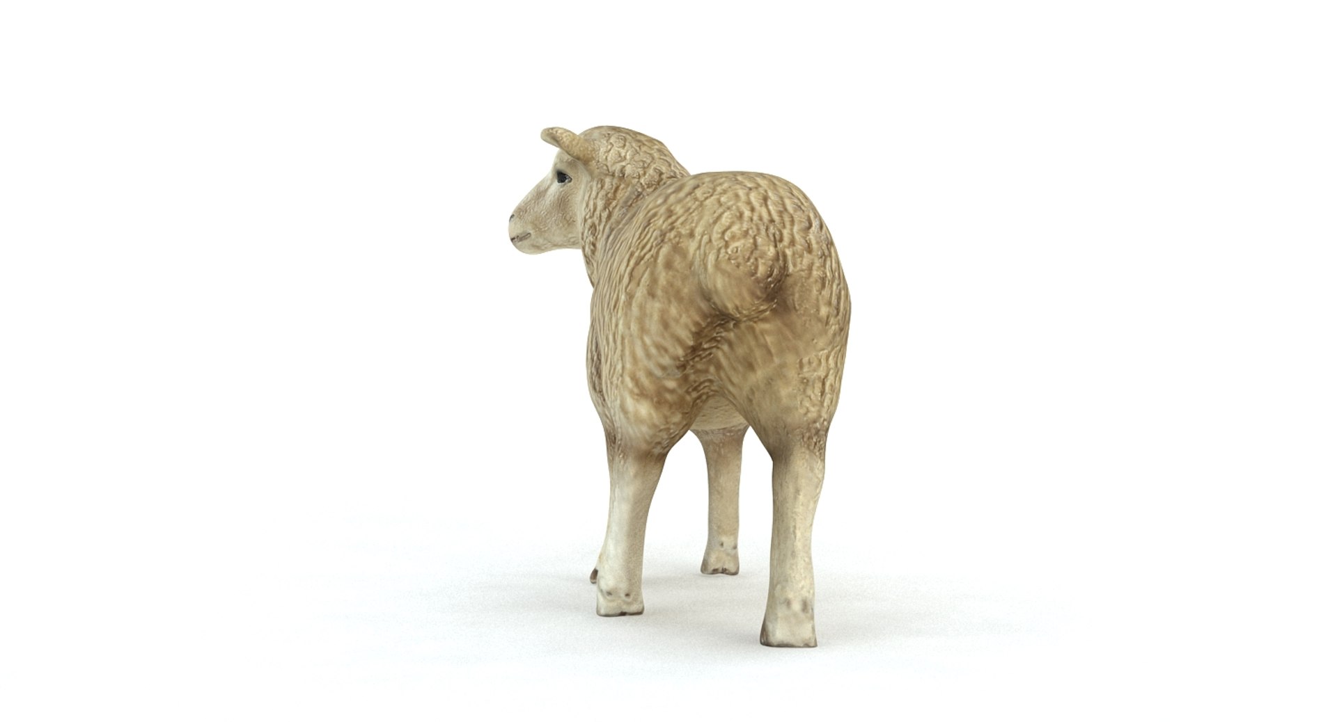 Sheep 3d Dxf