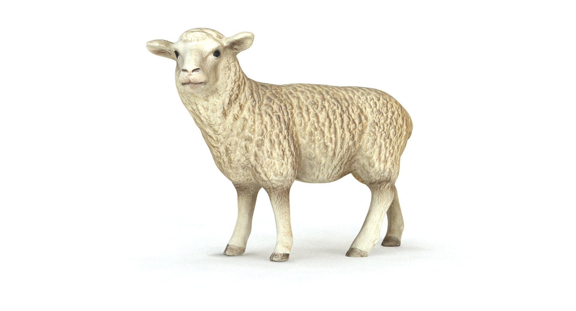 Sheep 3d Dxf