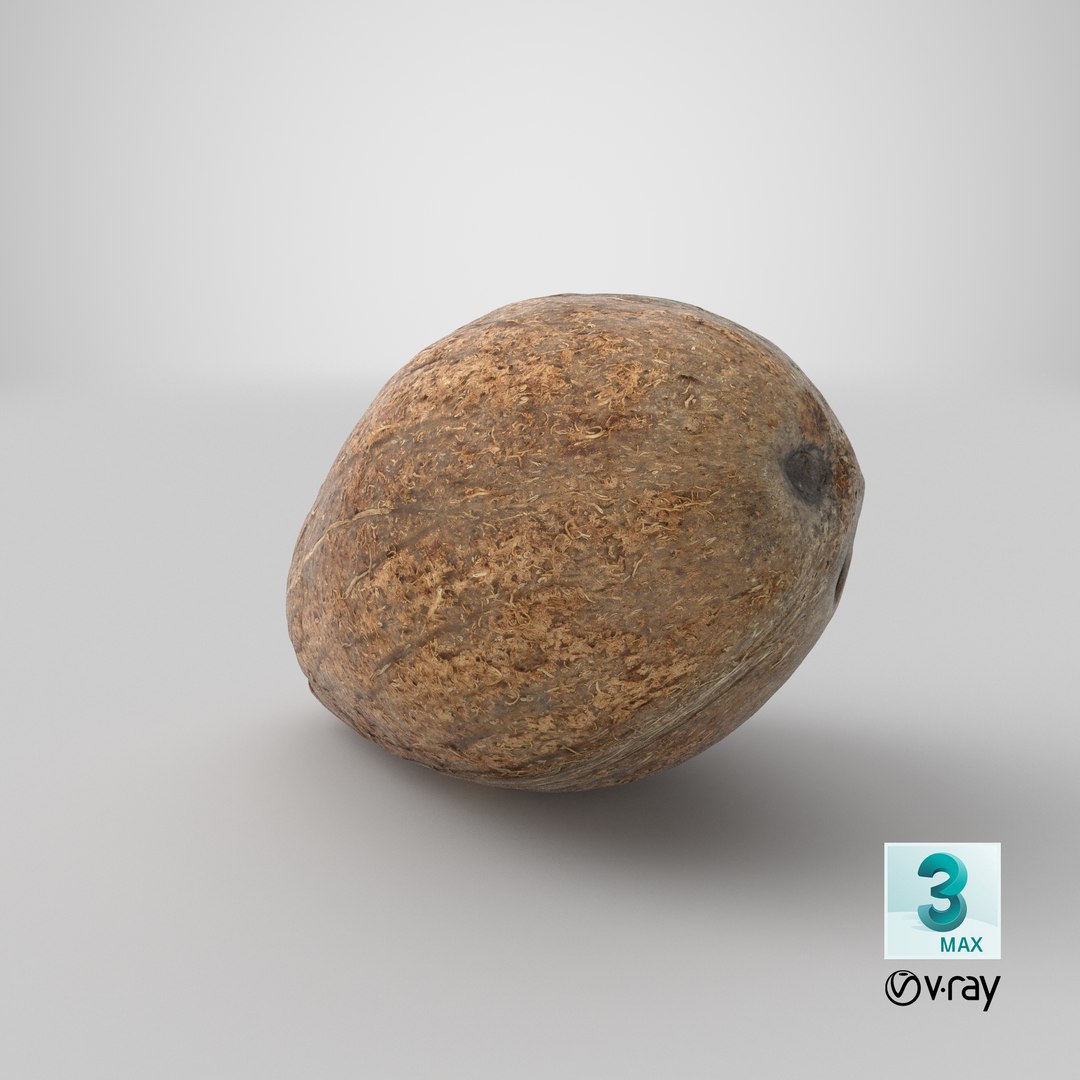 3D Coconut 05 - TurboSquid 1422257