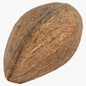 Low Poly Coconut 3D Models for Download | TurboSquid