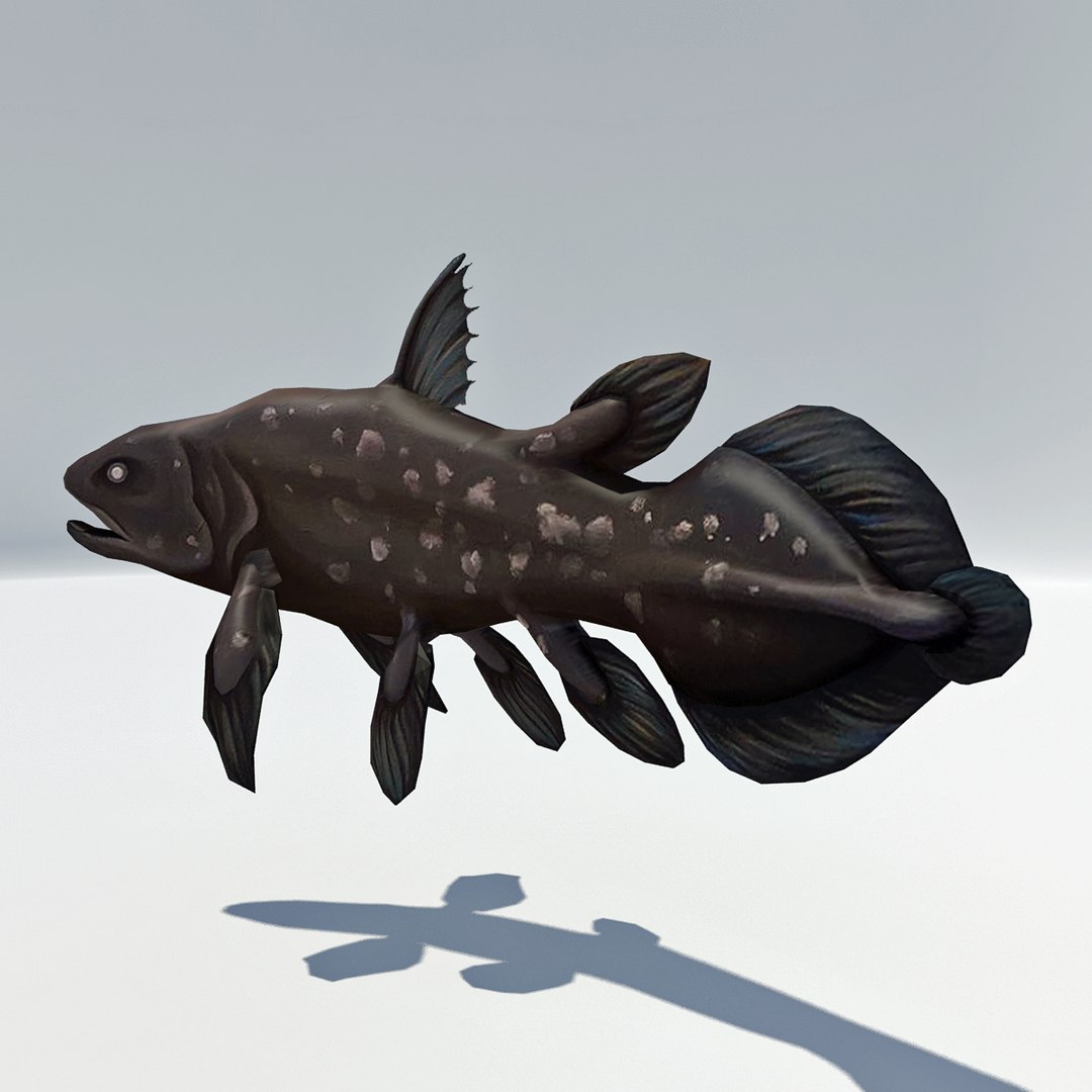 - Coelacanth Dinosaur Extinct 3d Model