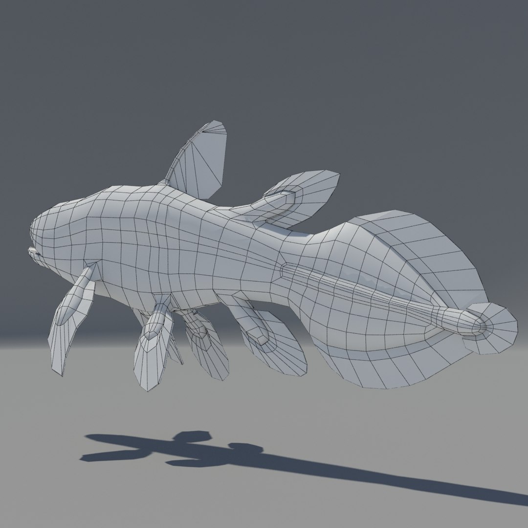 - Coelacanth Dinosaur Extinct 3d Model