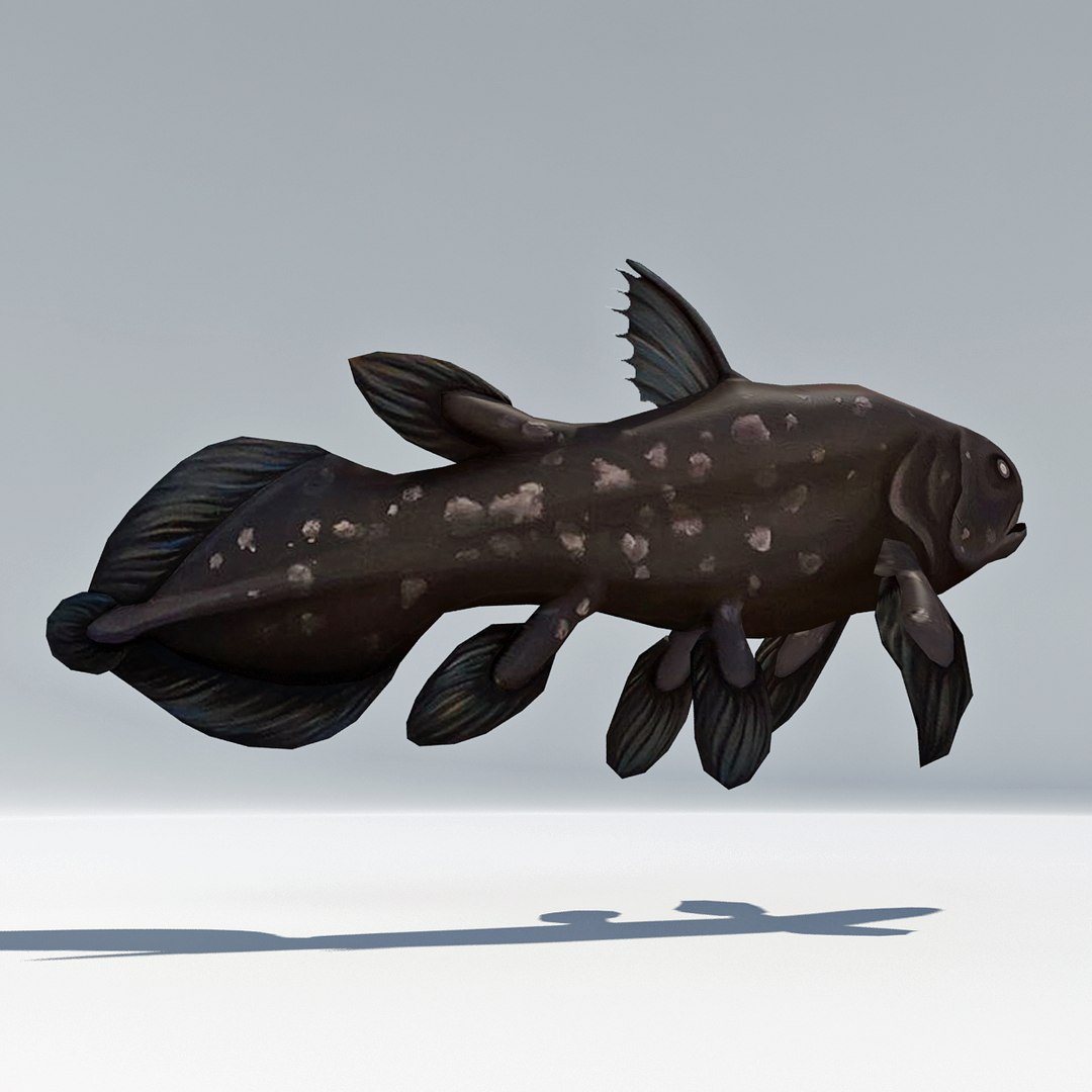 - Coelacanth Dinosaur Extinct 3d Model