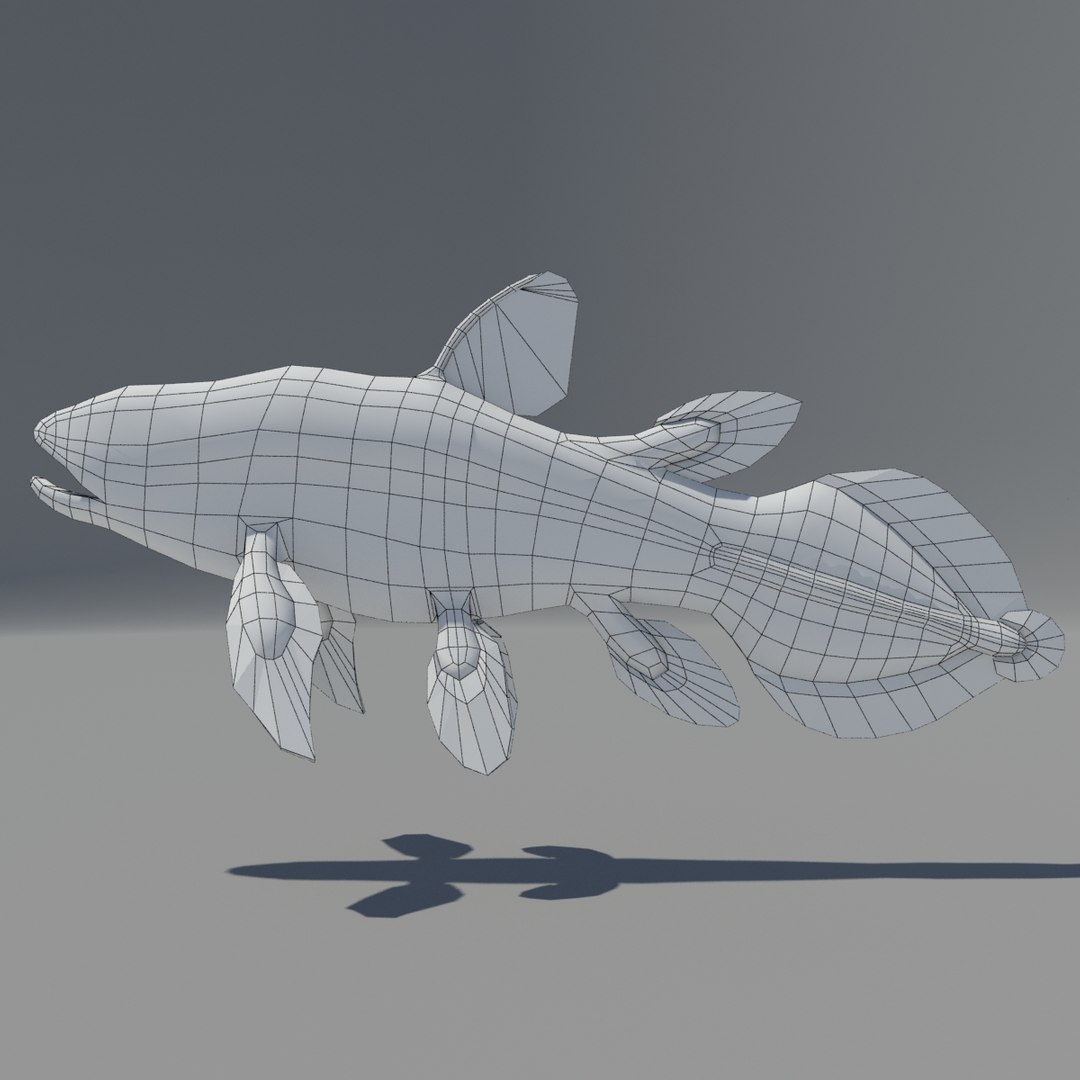 - Coelacanth Dinosaur Extinct 3d Model
