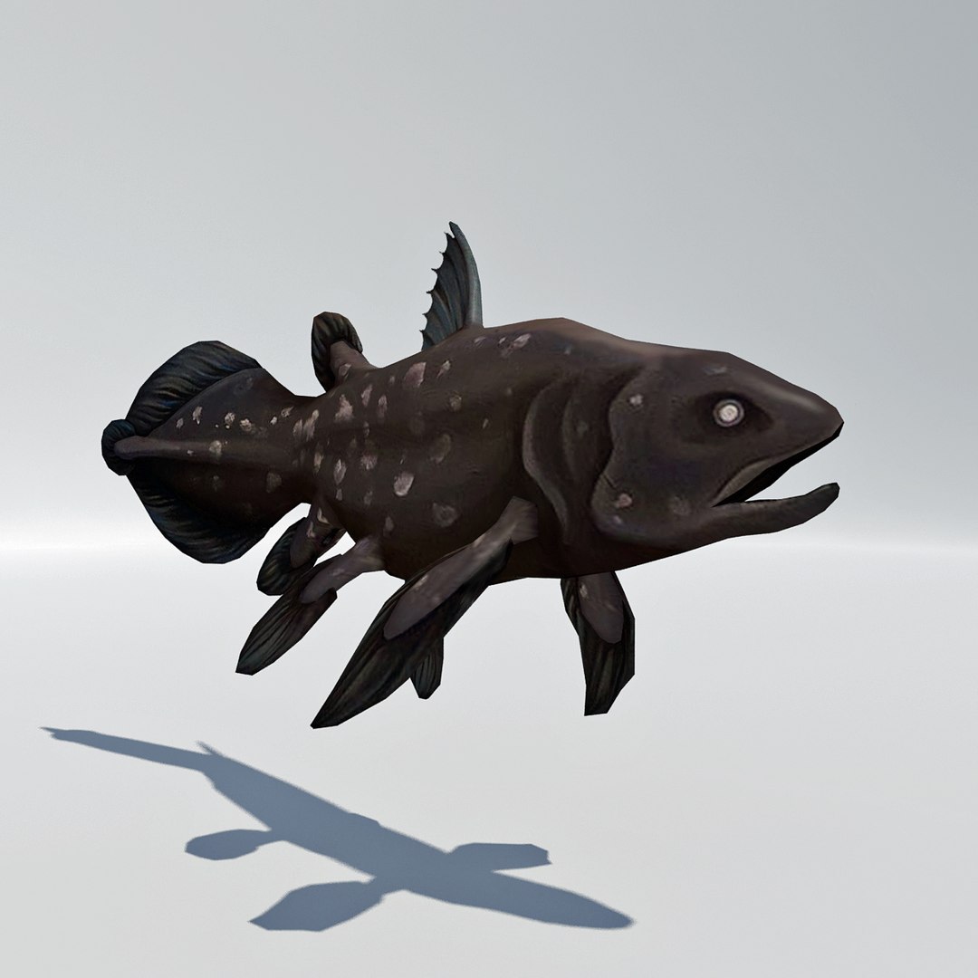 - Coelacanth Dinosaur Extinct 3d Model