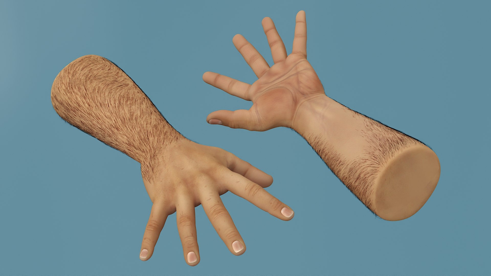 Human Male Hands With Fur 3D Model - TurboSquid 2384722