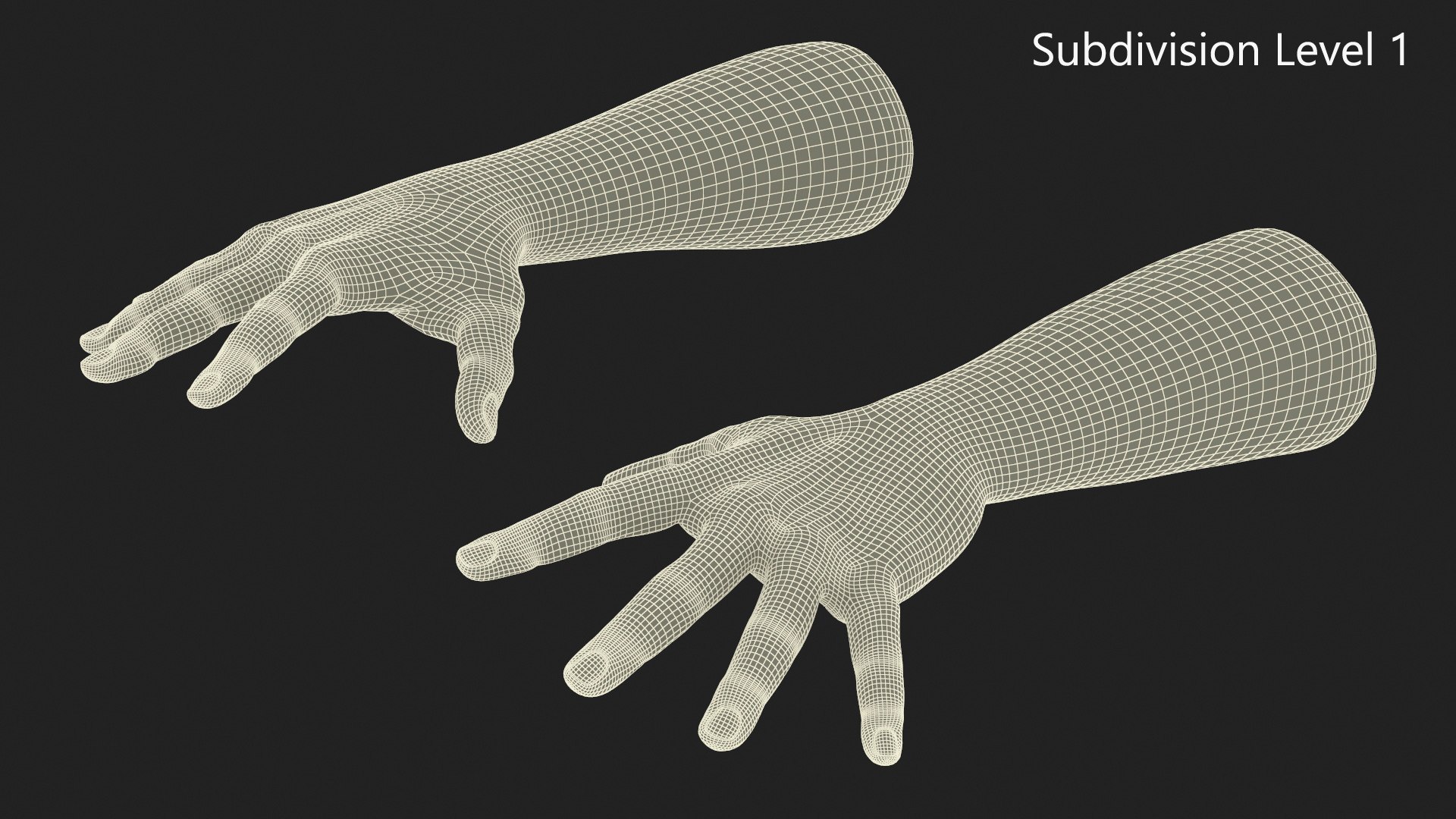 Human Male Hands With Fur 3D Model - TurboSquid 2384722