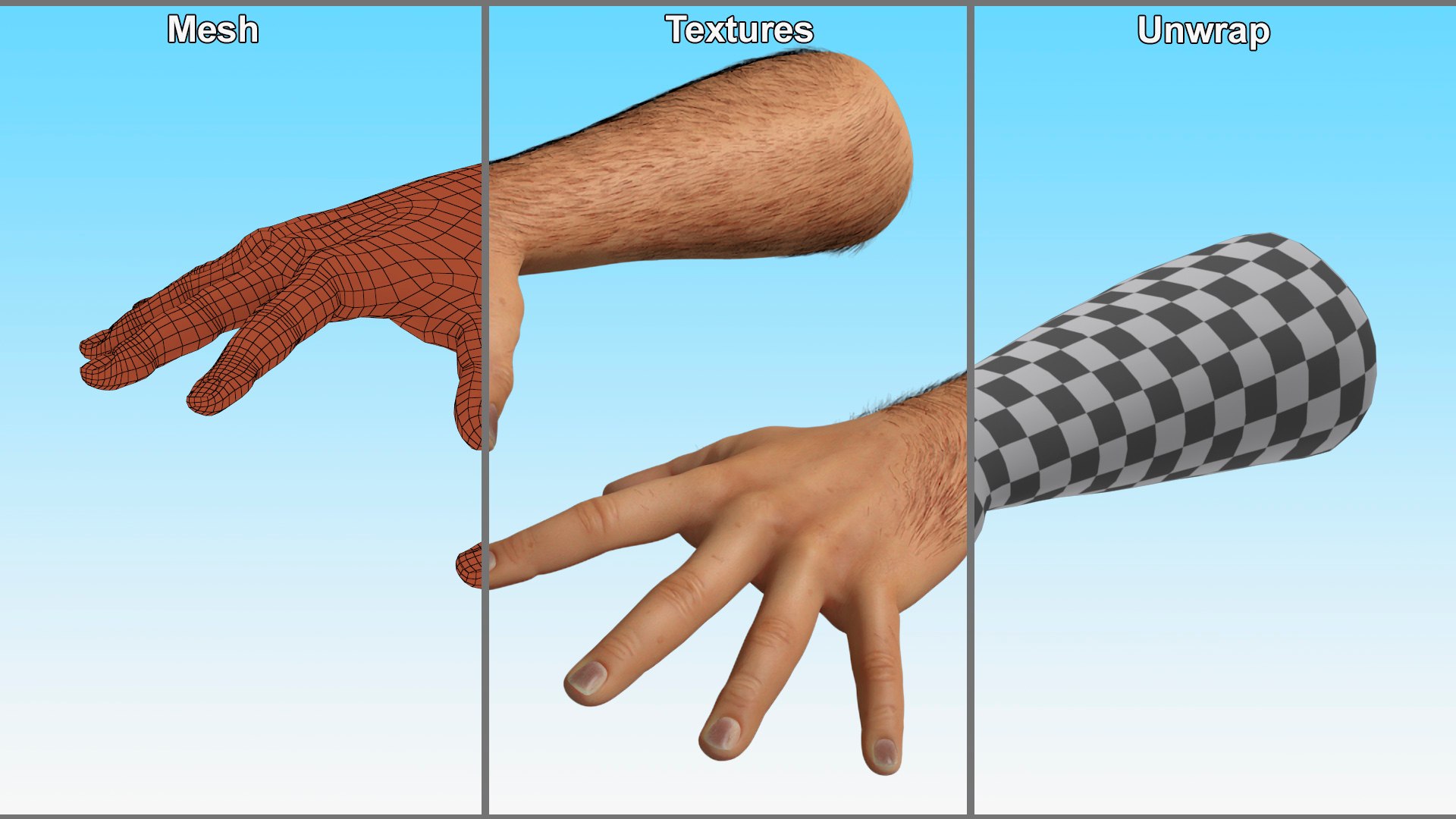 Human Male Hands With Fur 3D Model - TurboSquid 2384722