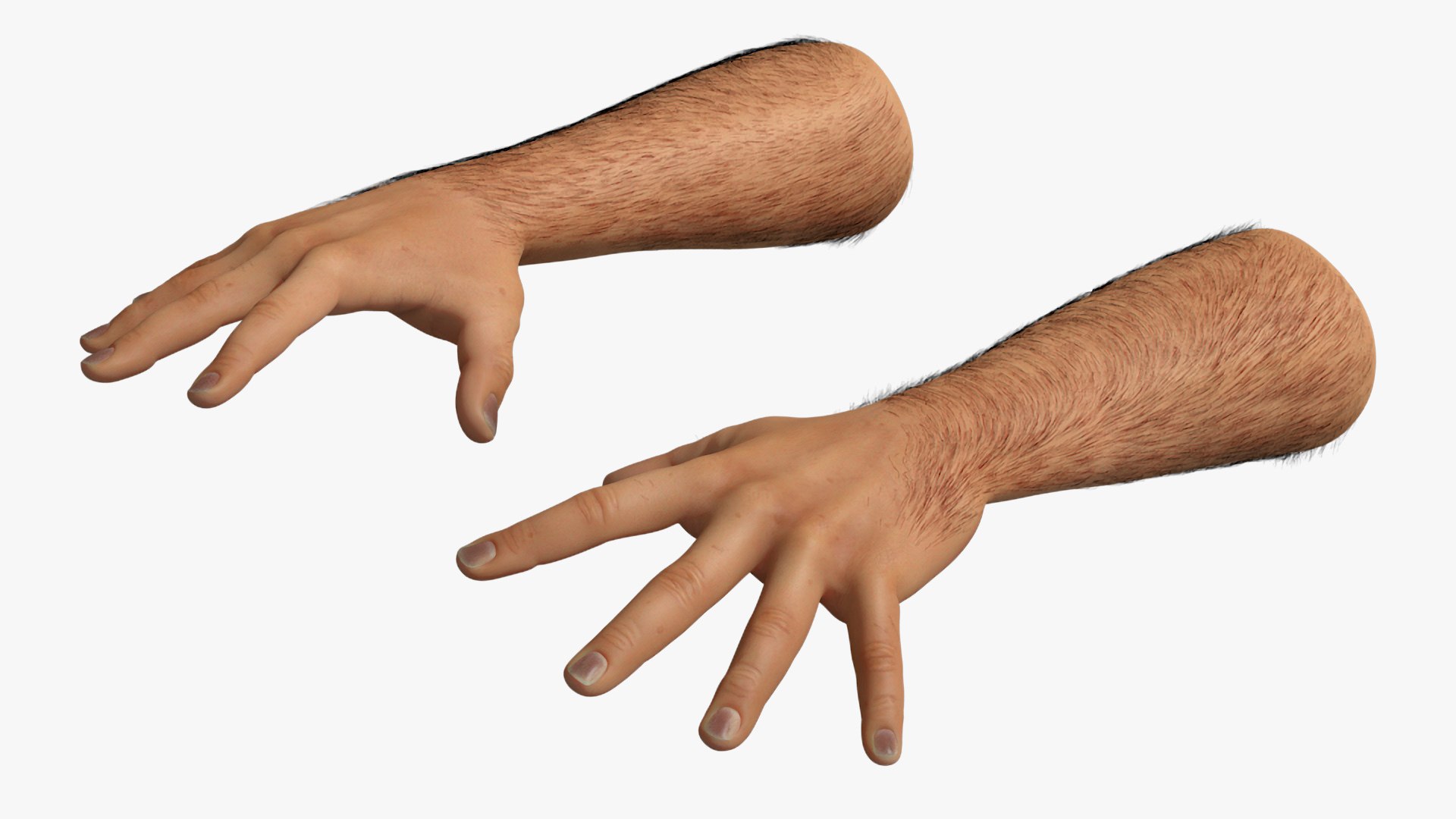 Human Male Hands With Fur 3D Model - TurboSquid 2384722