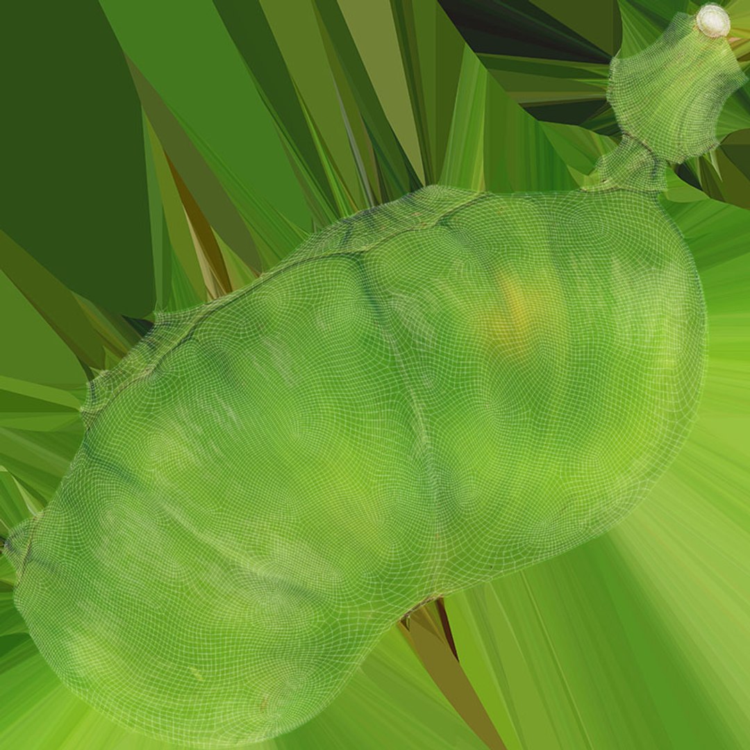 Green Bell Pepper Model - TurboSquid 2253908