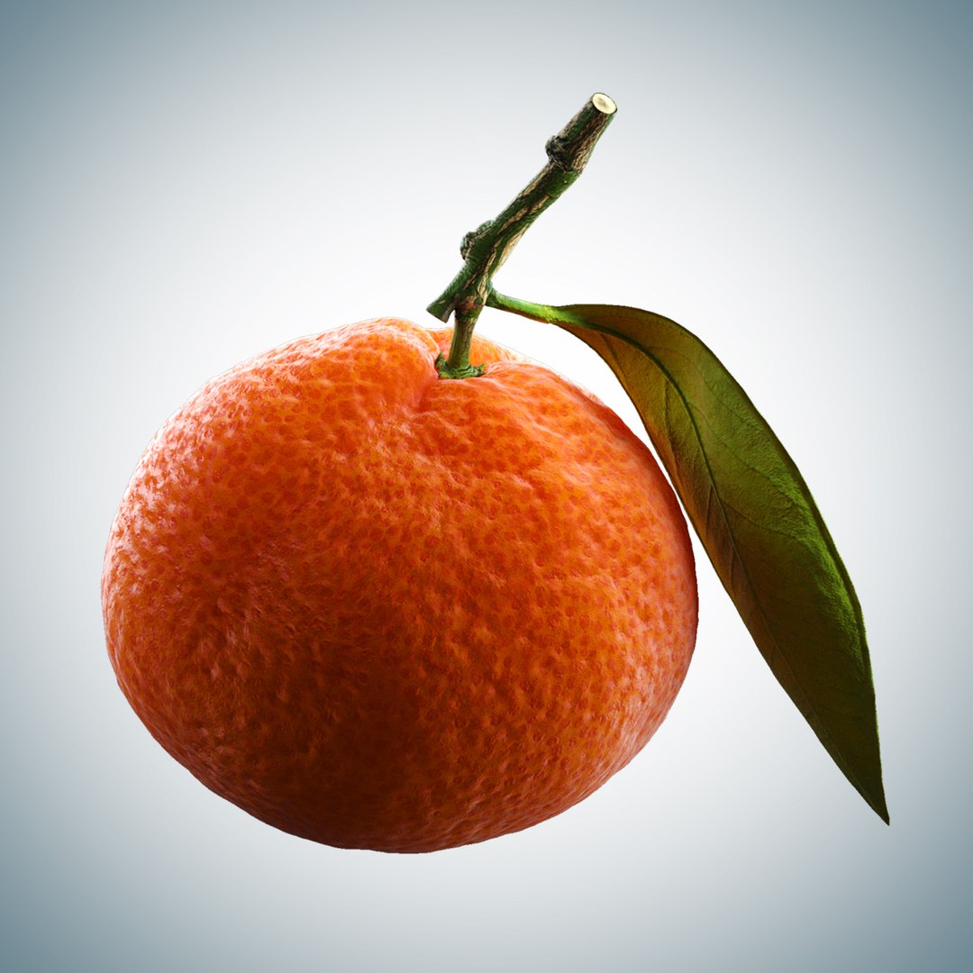 3D Mandarin 1 Polly Model - TurboSquid 1350308