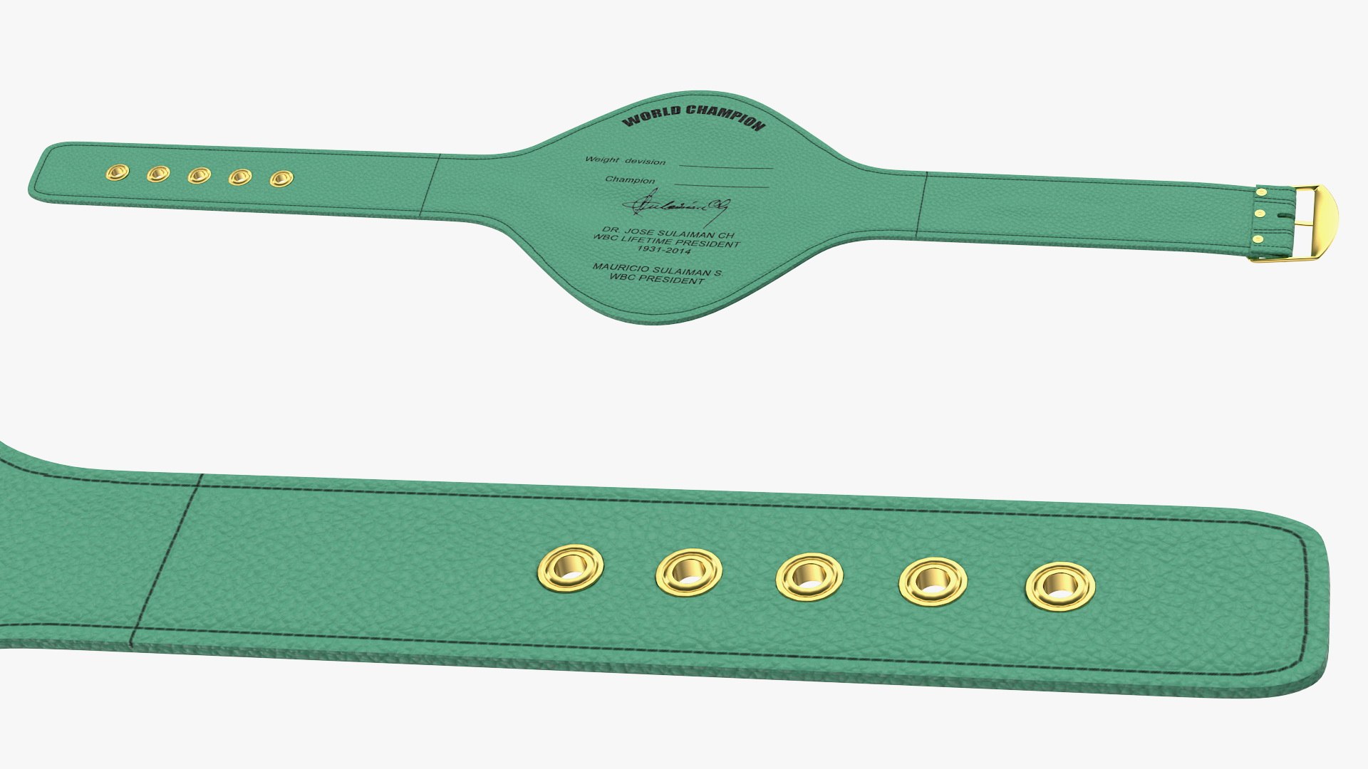 Wbc Championship Boxing Belt 3D Model - TurboSquid 1472477