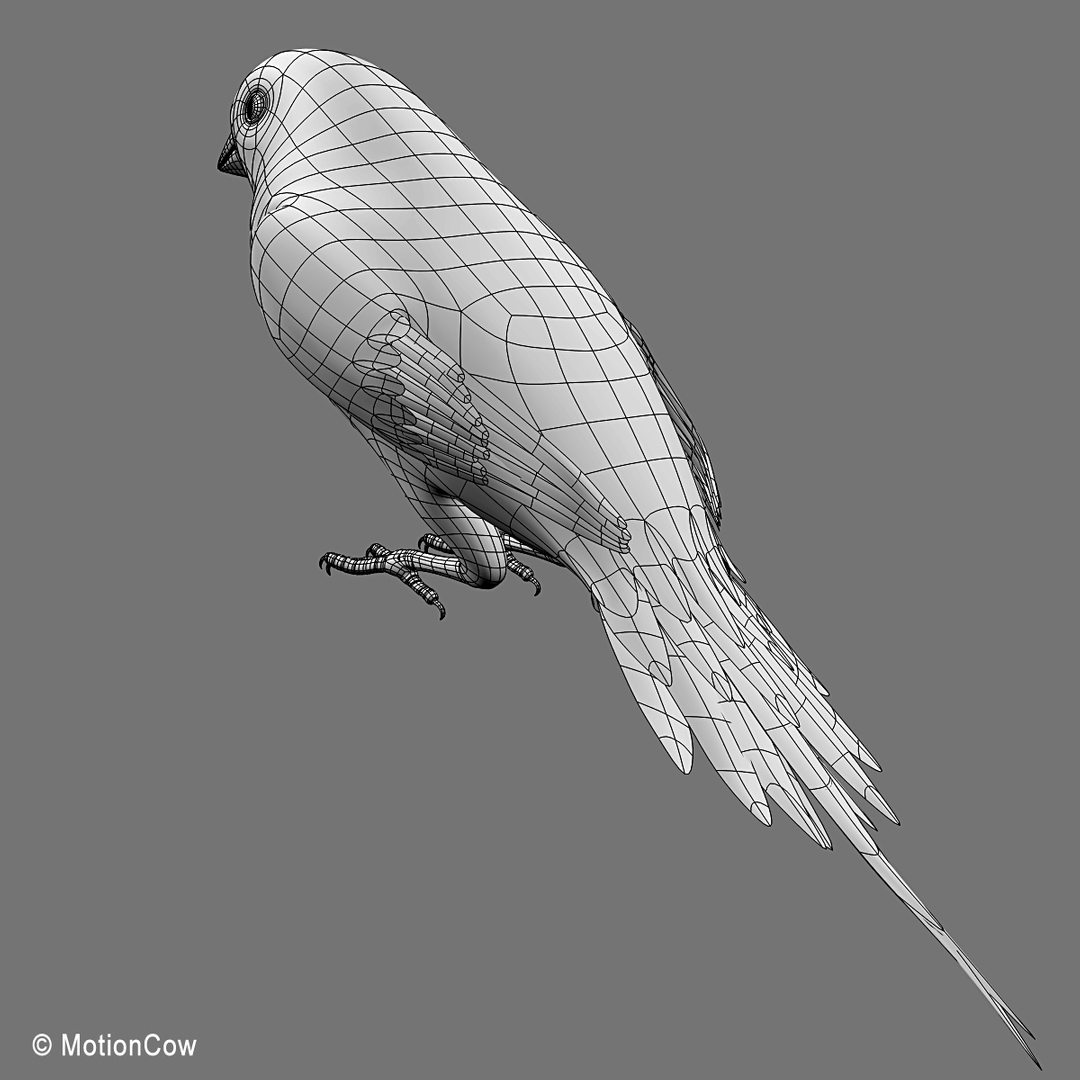 maya finch folded wings