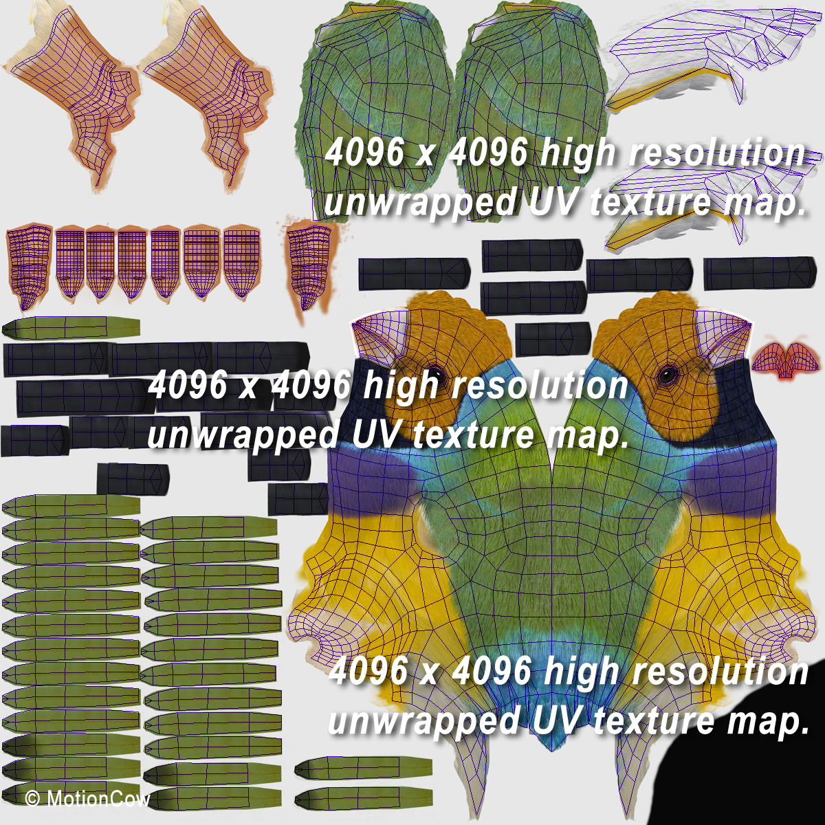 maya finch folded wings