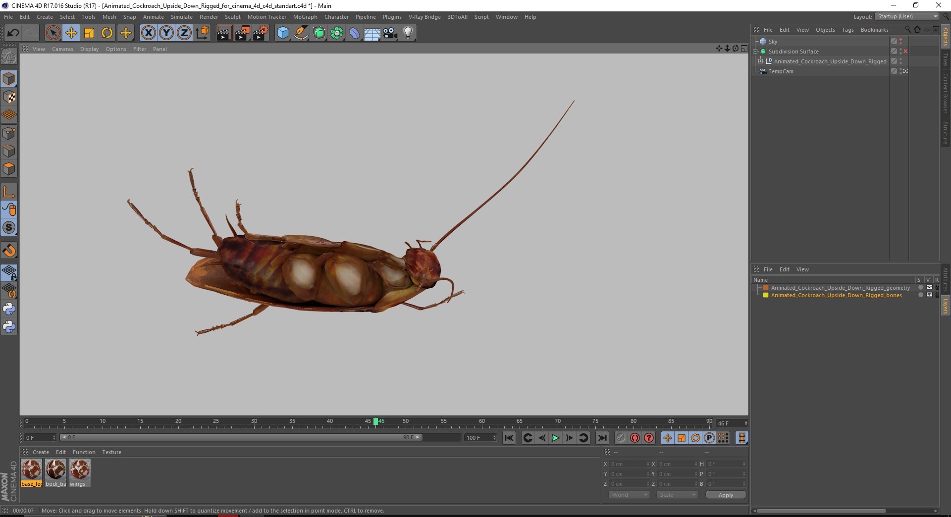 3D Animated Cockroach Upside Down Rigged For Cinema 4D - TurboSquid 2105265