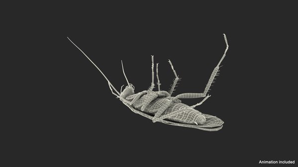 modelo 3d Animated Cockroach Upside Down Rigged for Cinema 4D ...