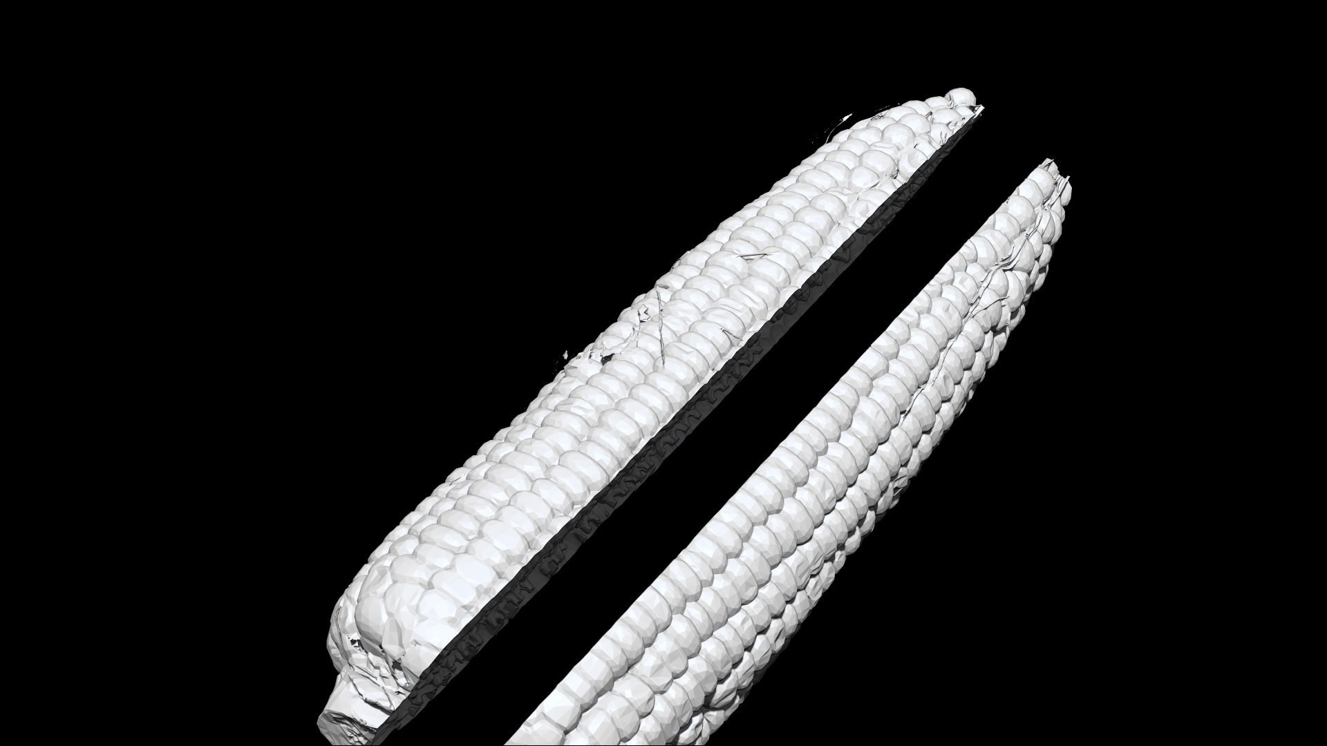 Corn 3D CT Scan Model Cut1 Decimate 8 Percent 3D - TurboSquid 1945207