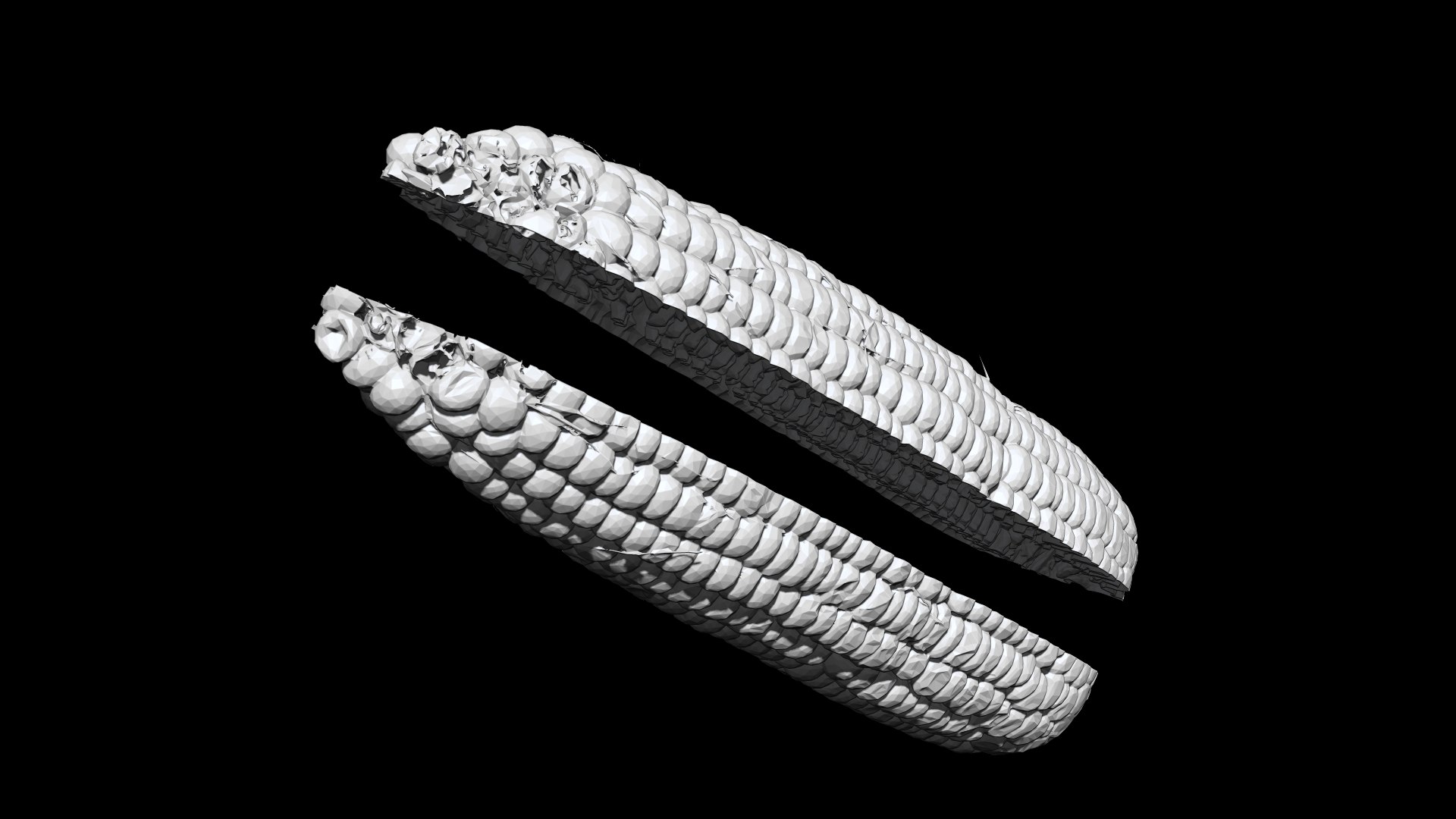 Corn 3D CT Scan Model Cut1 Decimate 8 Percent 3D - TurboSquid 1945207