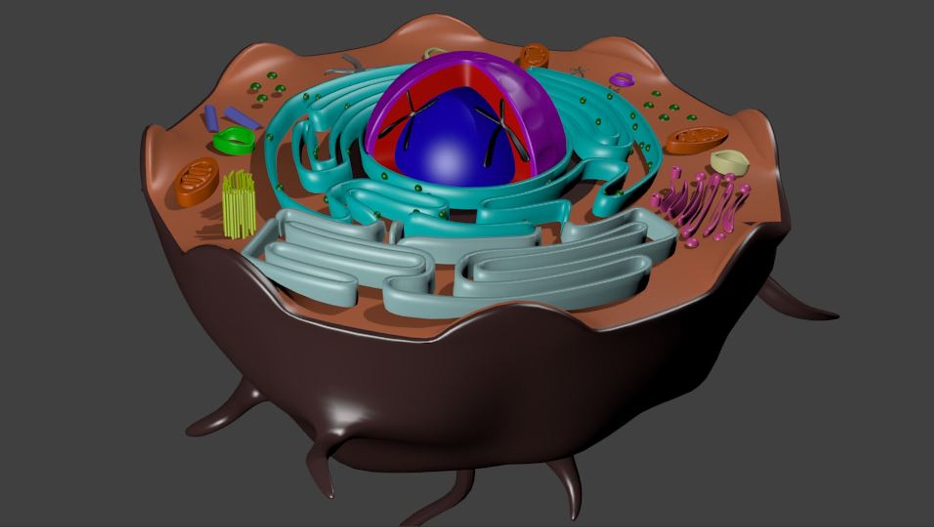 Blender Animal Cell