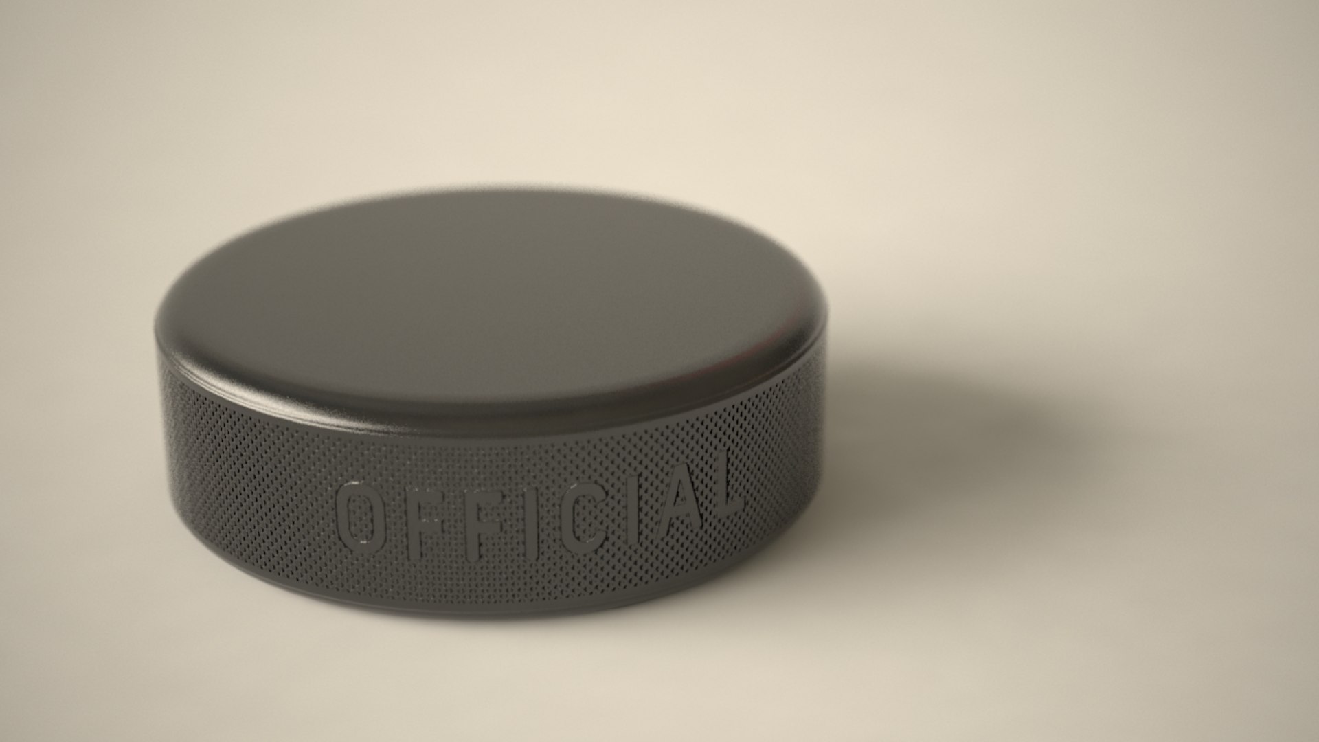 Hockey Puck Official 3D Model - TurboSquid 1391164