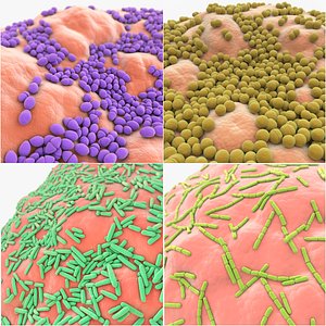 Free Bacteria 3D Models for Download | TurboSquid