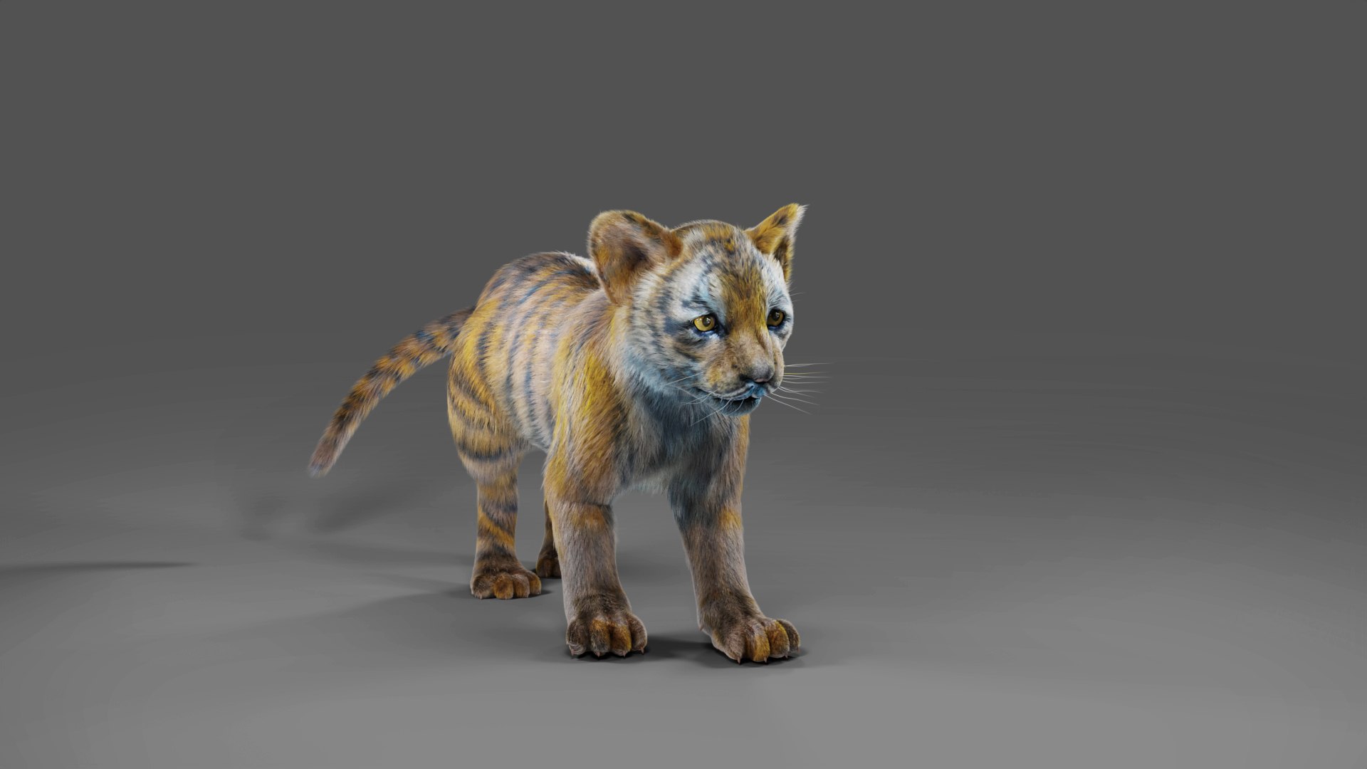 3D Fur Tiger Cub Rigged And Animated In Blender Model - TurboSquid 2029569