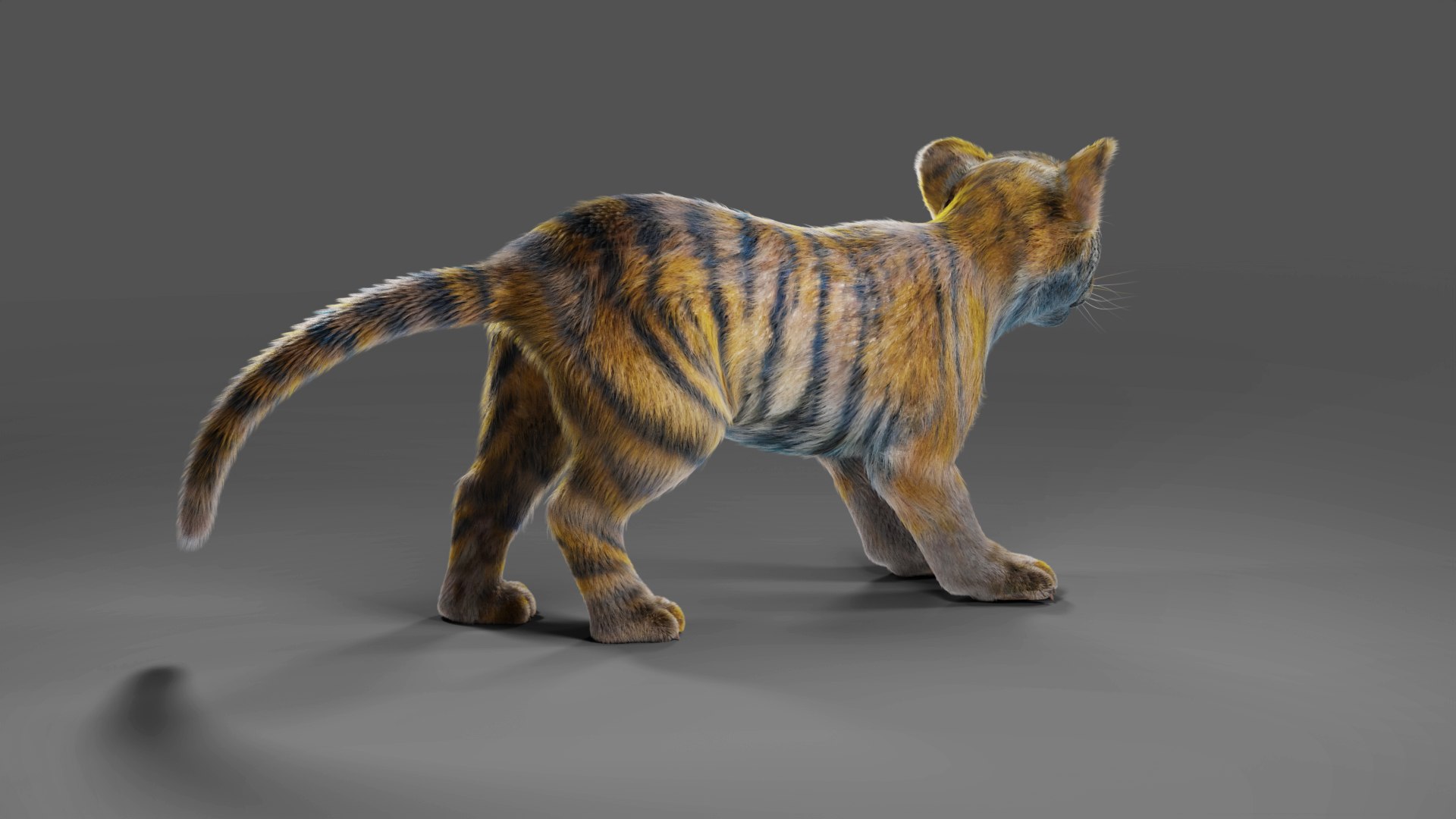 3D Fur Tiger Cub Rigged And Animated In Blender Model - TurboSquid 2029569