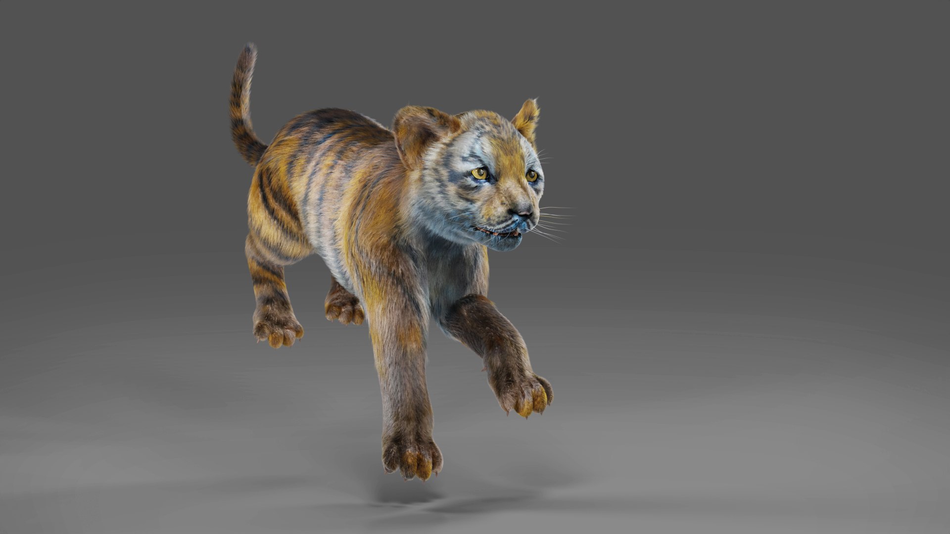3D Fur Tiger Cub Rigged And Animated In Blender Model - TurboSquid 2029569