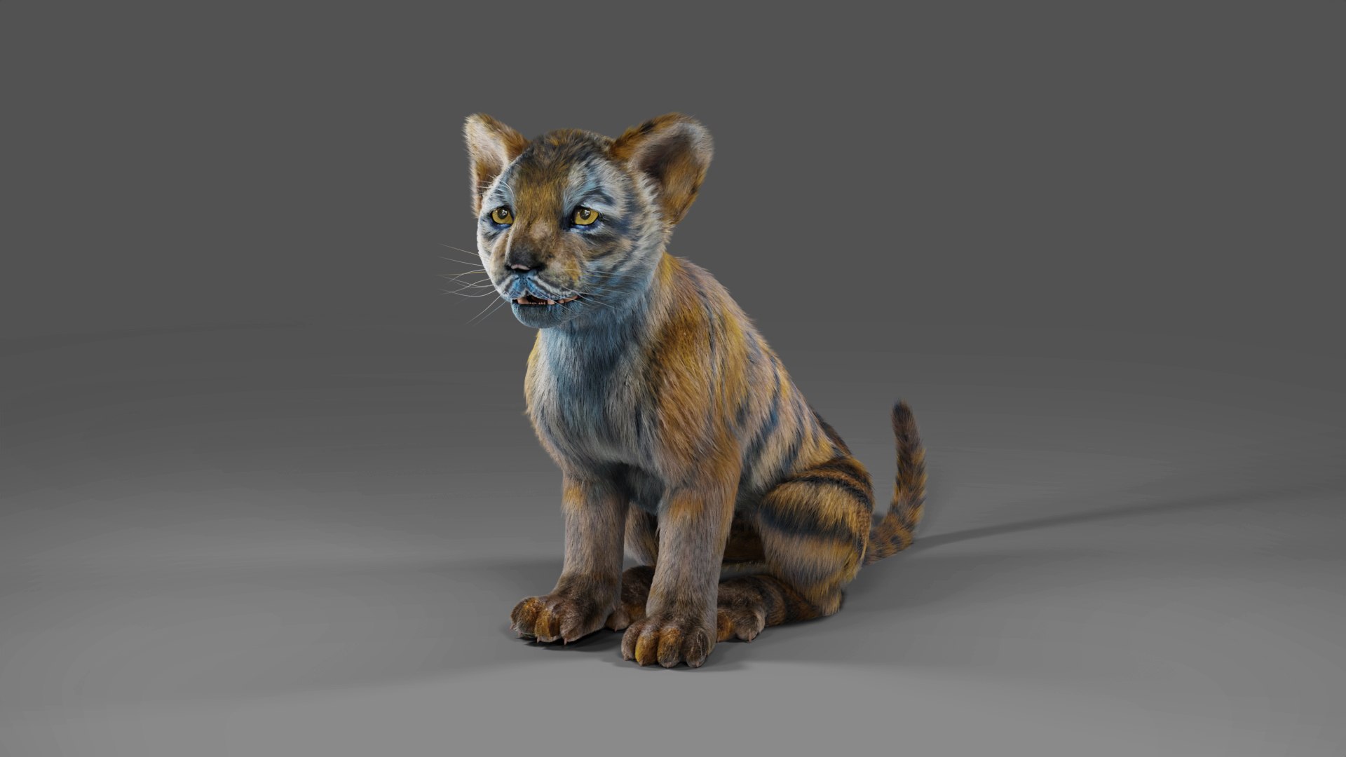 3D Fur Tiger Cub Rigged And Animated In Blender Model - TurboSquid 2029569