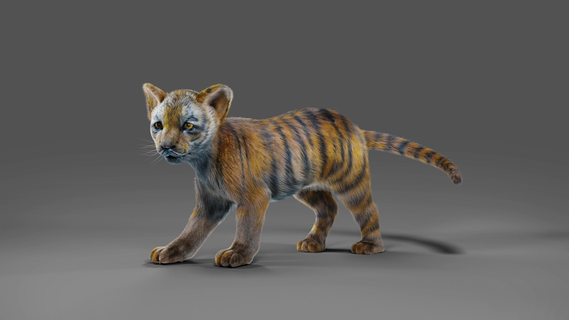 3D Fur Tiger Cub Rigged And Animated In Blender Model - TurboSquid 2029569