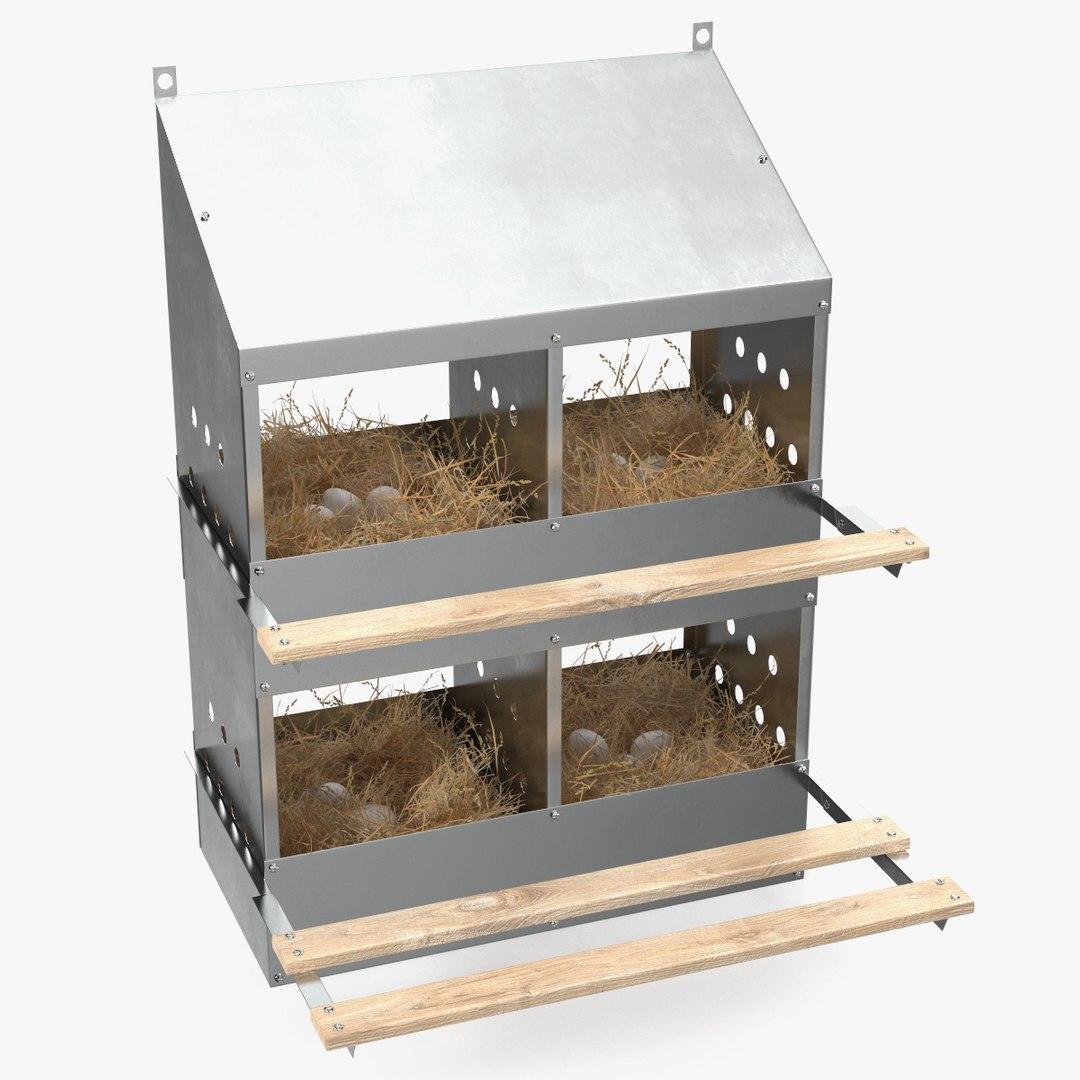 3D 4-Hole Poultry Nest Box With Chicken Eggs model - TurboSquid 2080423