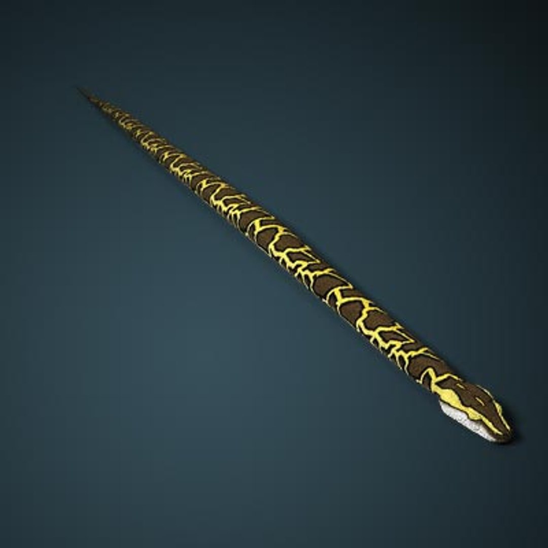 Burmese Python Snakes 3d Model