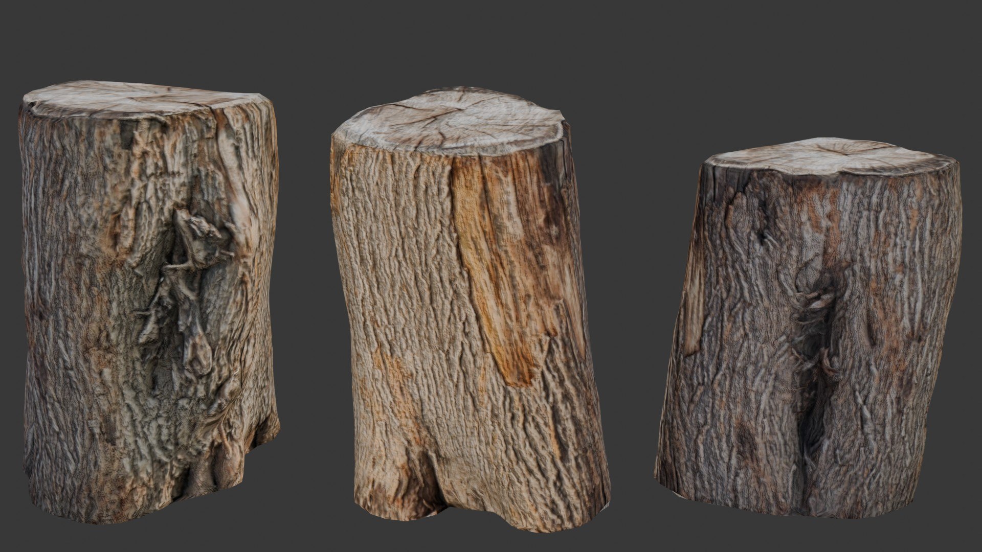 3D Tree Trunk Scan - TurboSquid 2408338