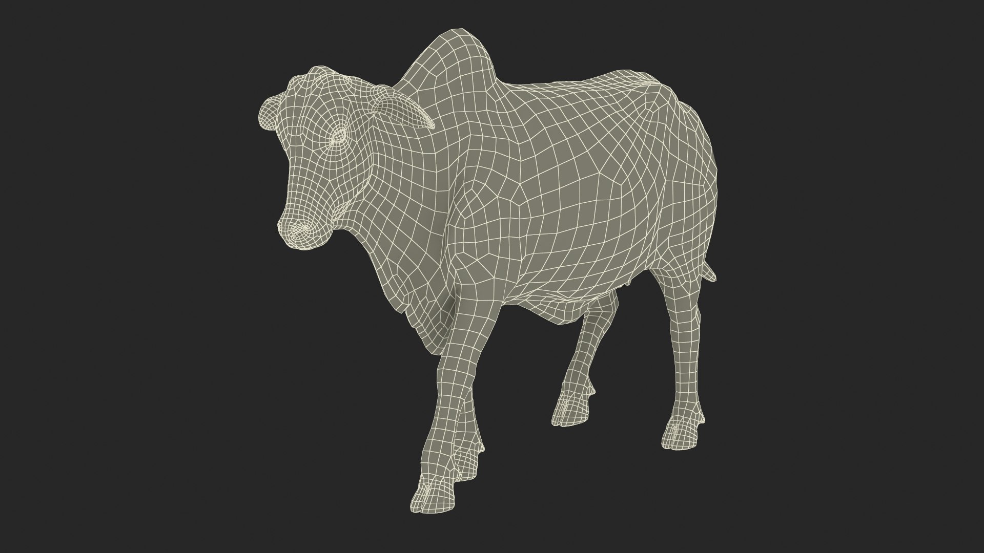 3D Zebu Cattle Female Walking Fur Model - TurboSquid 2317850