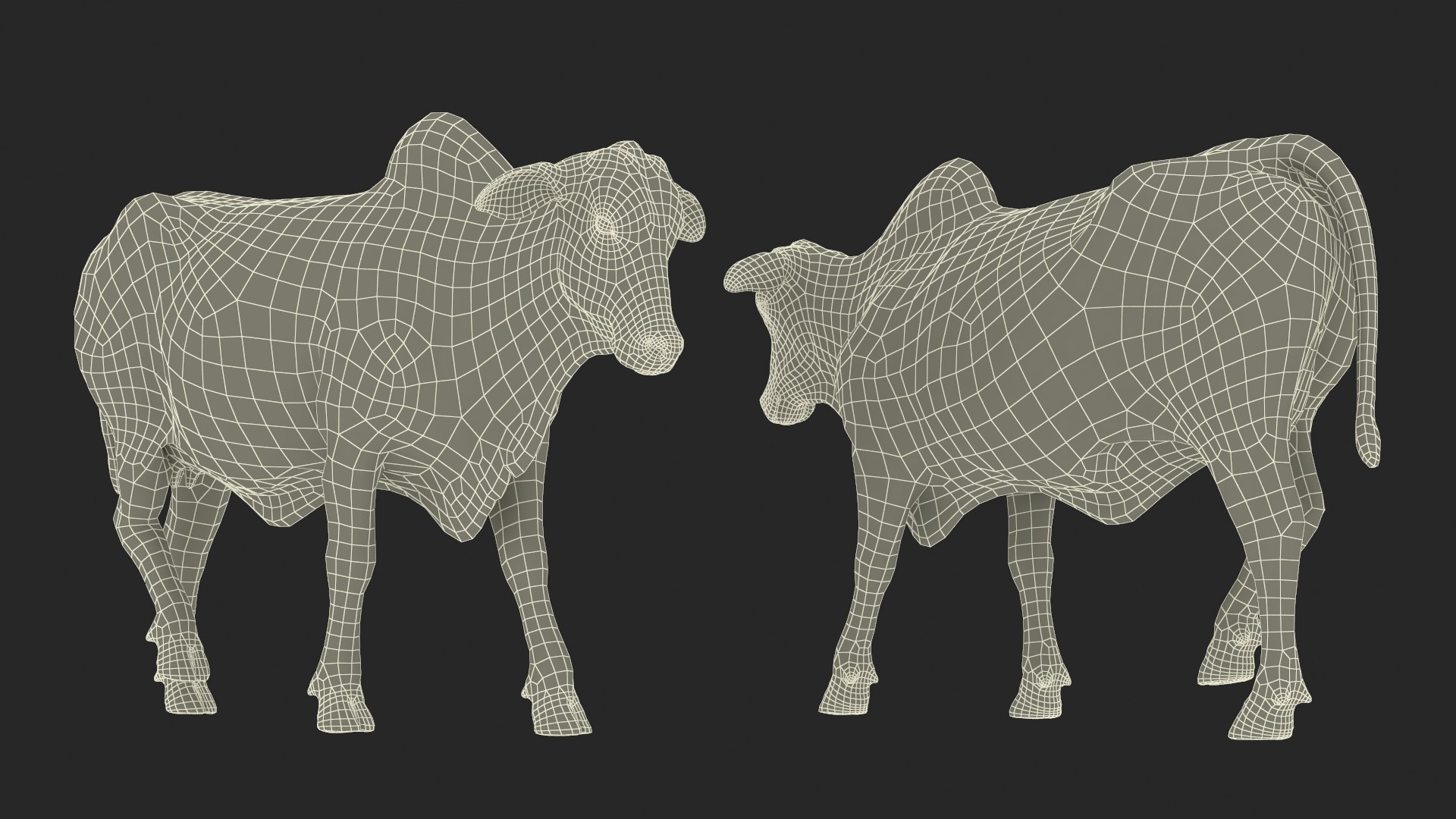 3D Zebu Cattle Female Walking Fur Model - TurboSquid 2317850