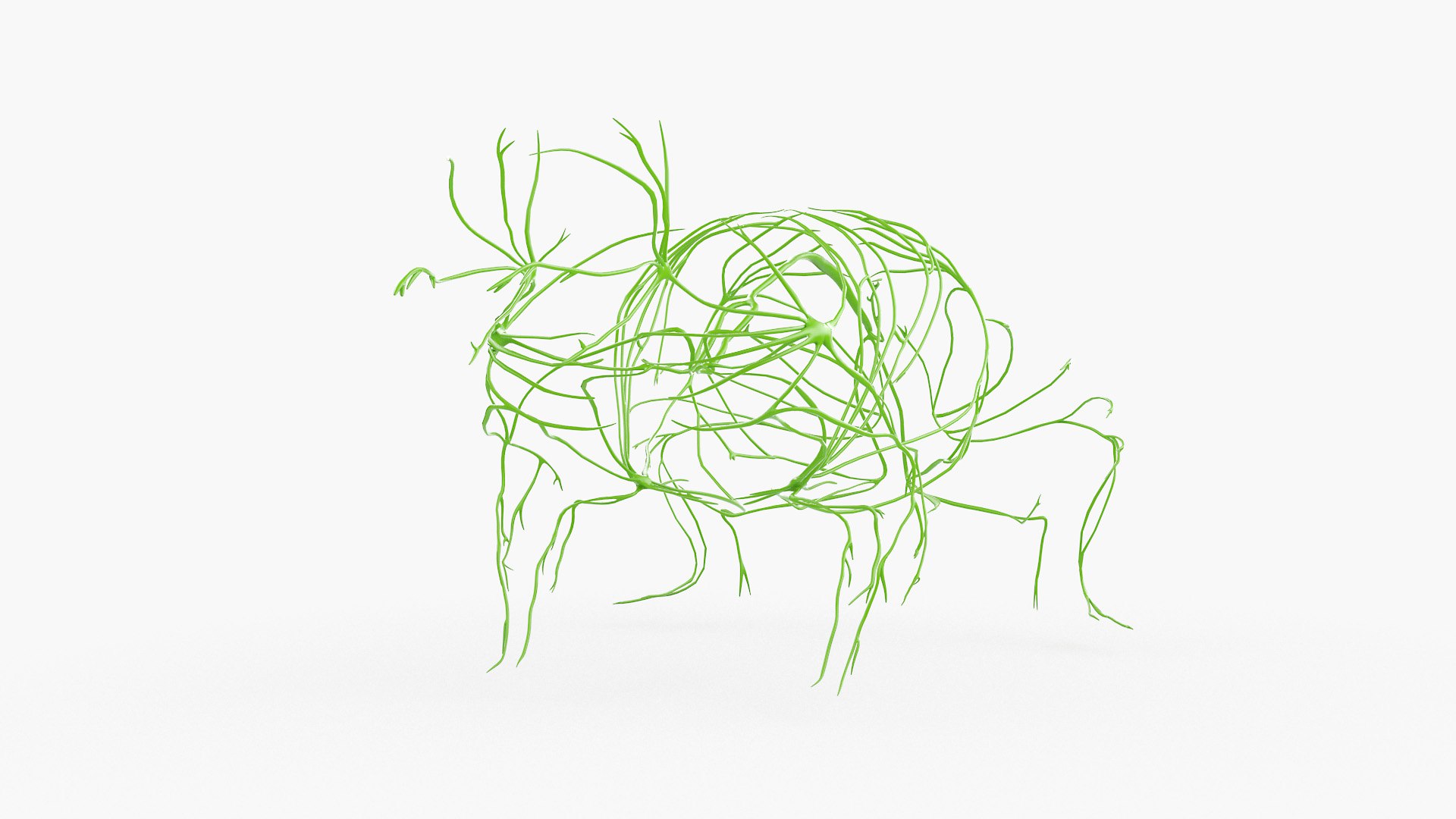 3D Rat Body Skeleton And Lymphatic System Static - TurboSquid 1892094