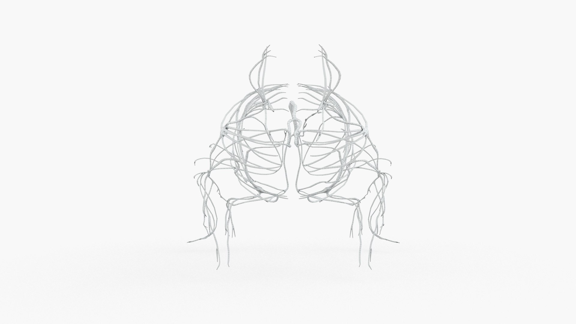 3D Rat Body Skeleton and Lymphatic System Static - TurboSquid 1892094