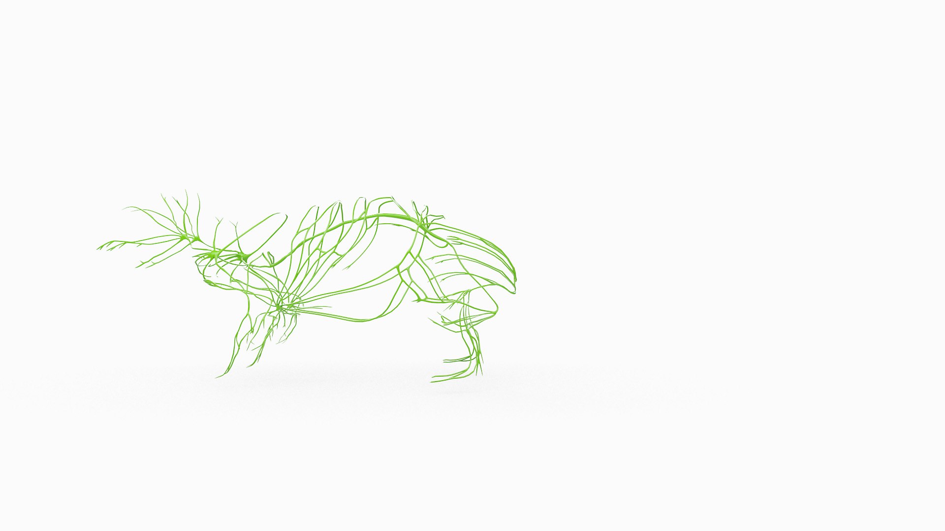 3D Rat Body Skeleton And Lymphatic System Static - TurboSquid 1892094