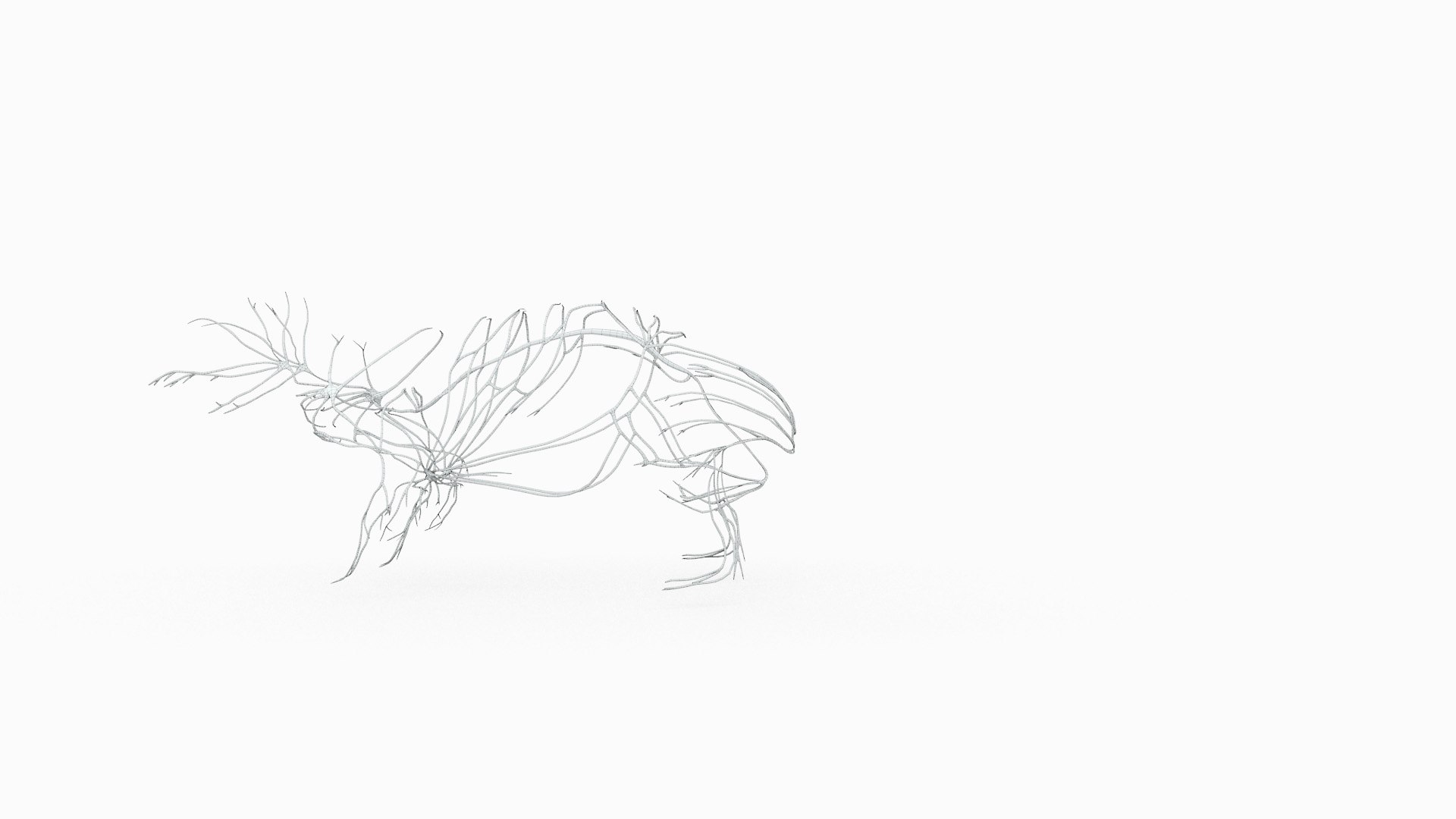 3D Rat Body Skeleton and Lymphatic System Static - TurboSquid 1892094