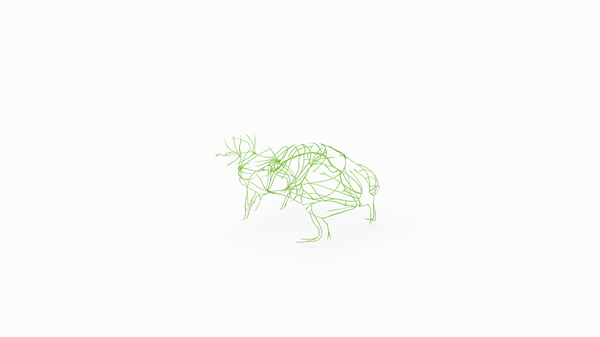 3D Rat Body Skeleton And Lymphatic System Static - TurboSquid 1892094