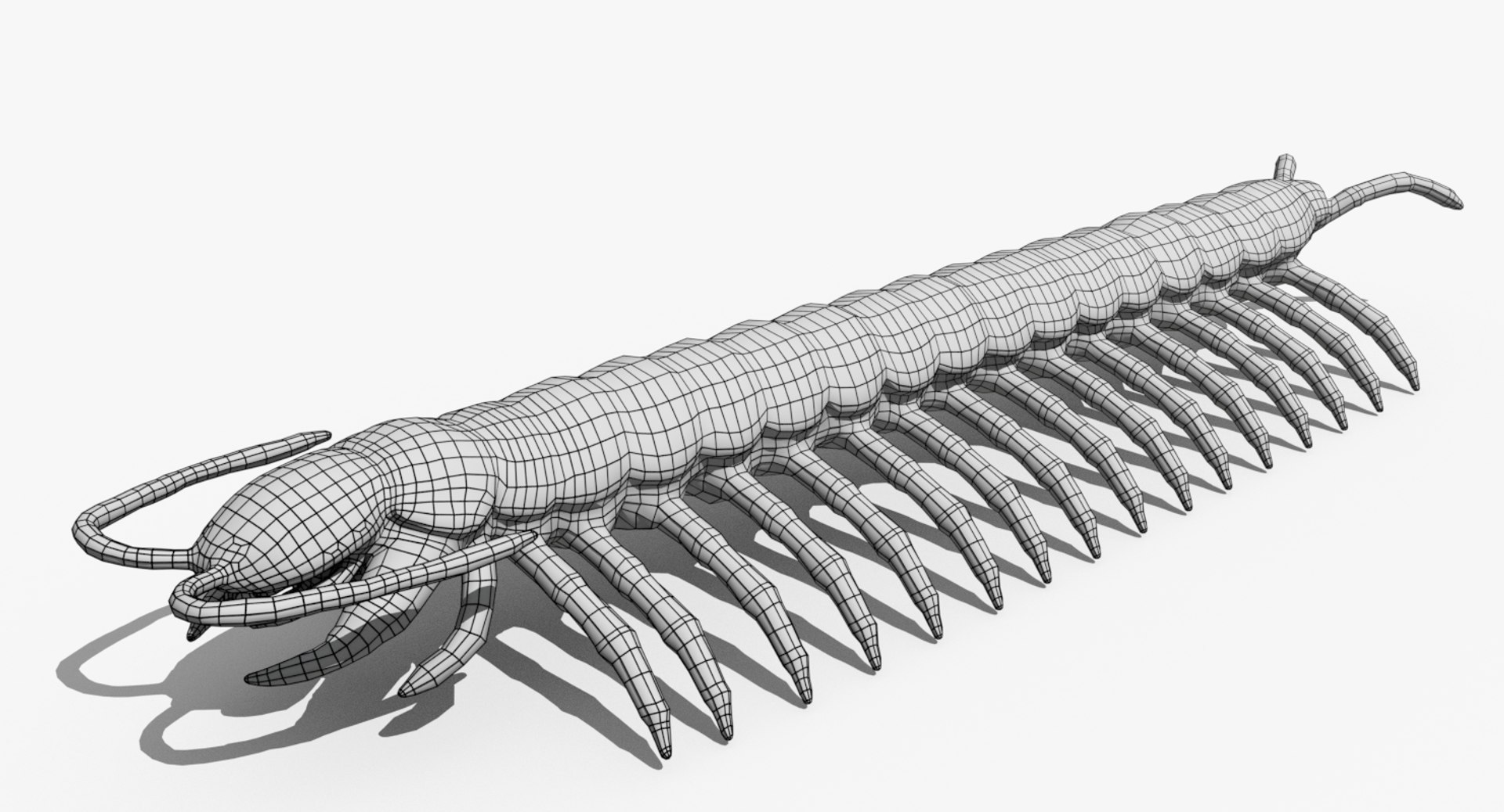 Centipede 3D model - TurboSquid 1260888