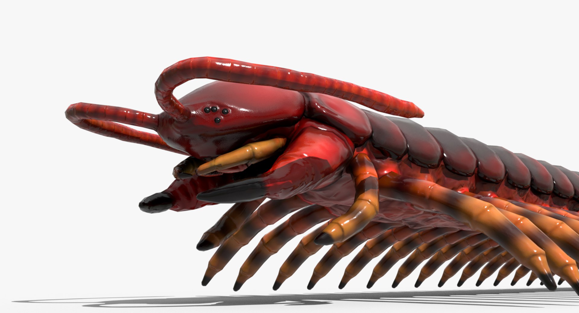Centipede 3D model - TurboSquid 1260888