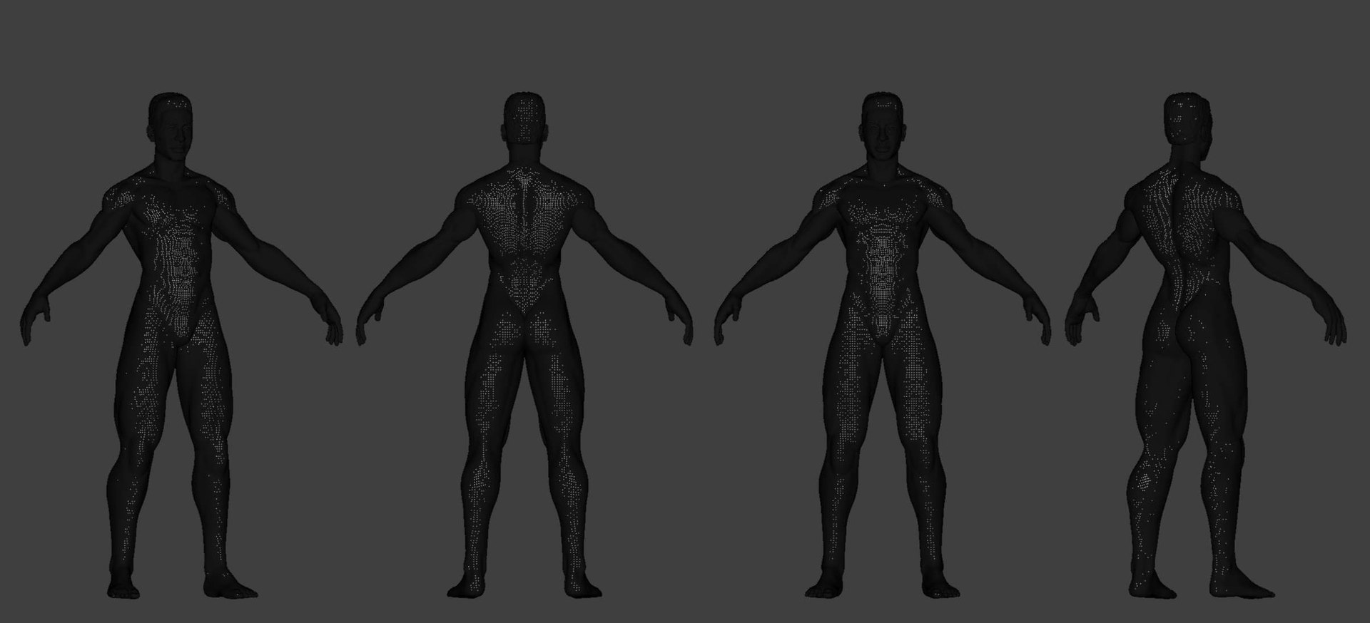 Free Lean Body - Slim Fit Male Anatomy Character Model - TurboSquid 2439002