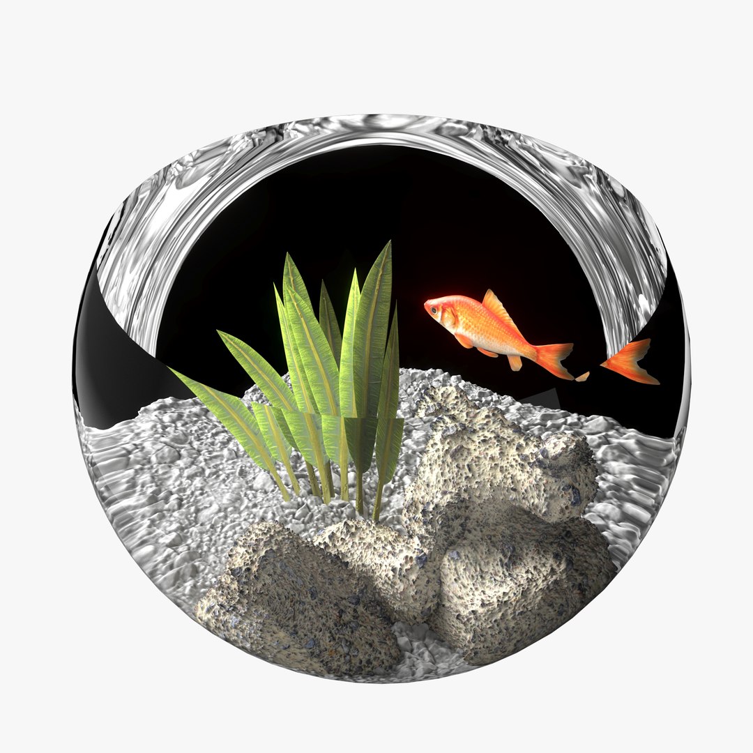 Fish Bowl 3D Model - TurboSquid 1963094