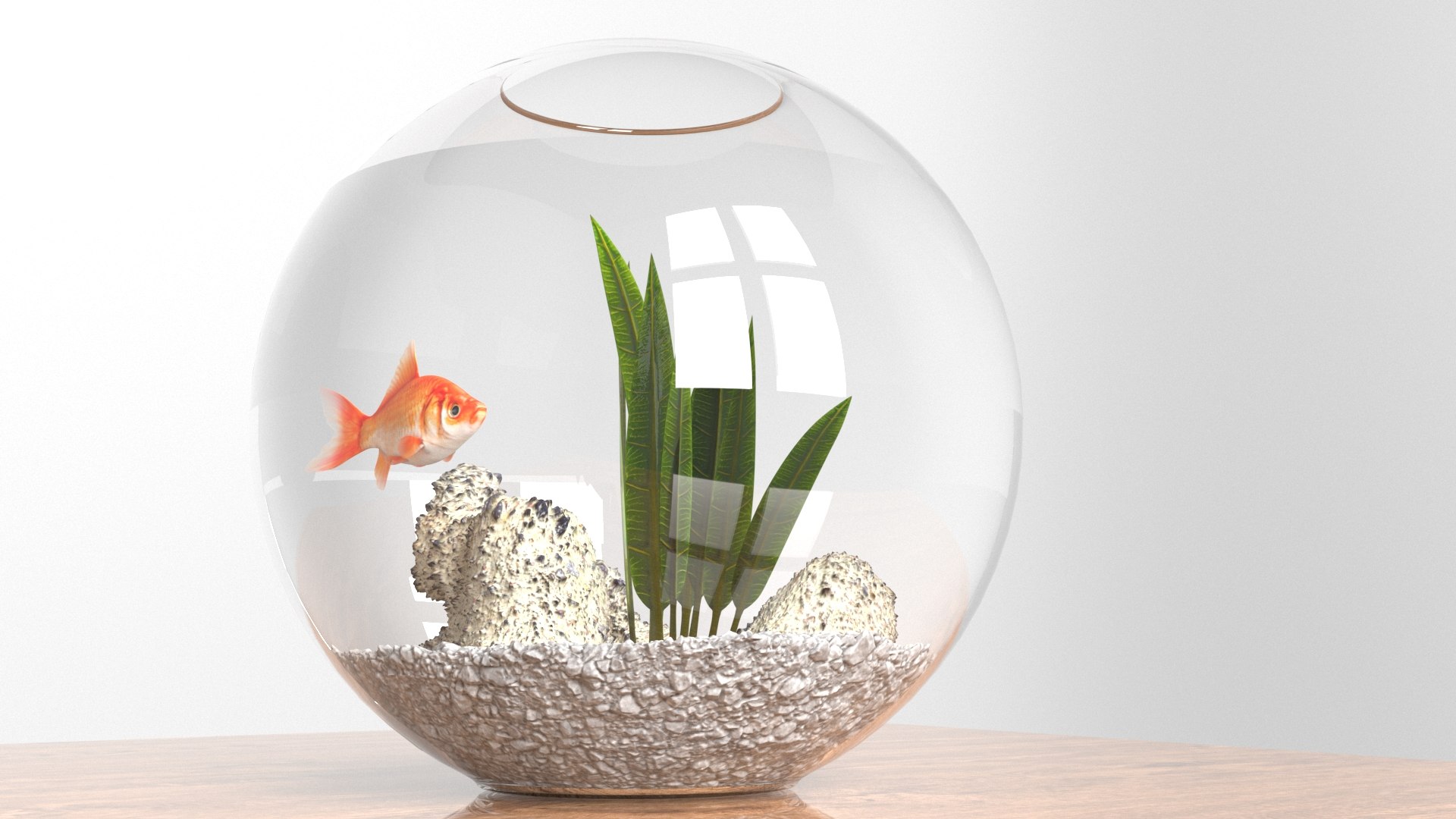 Fish Bowl 3D Model - TurboSquid 1963094