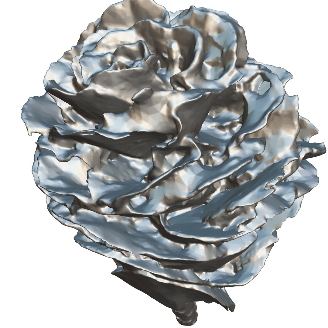 Yellow red flower 3D - TurboSquid 1521890