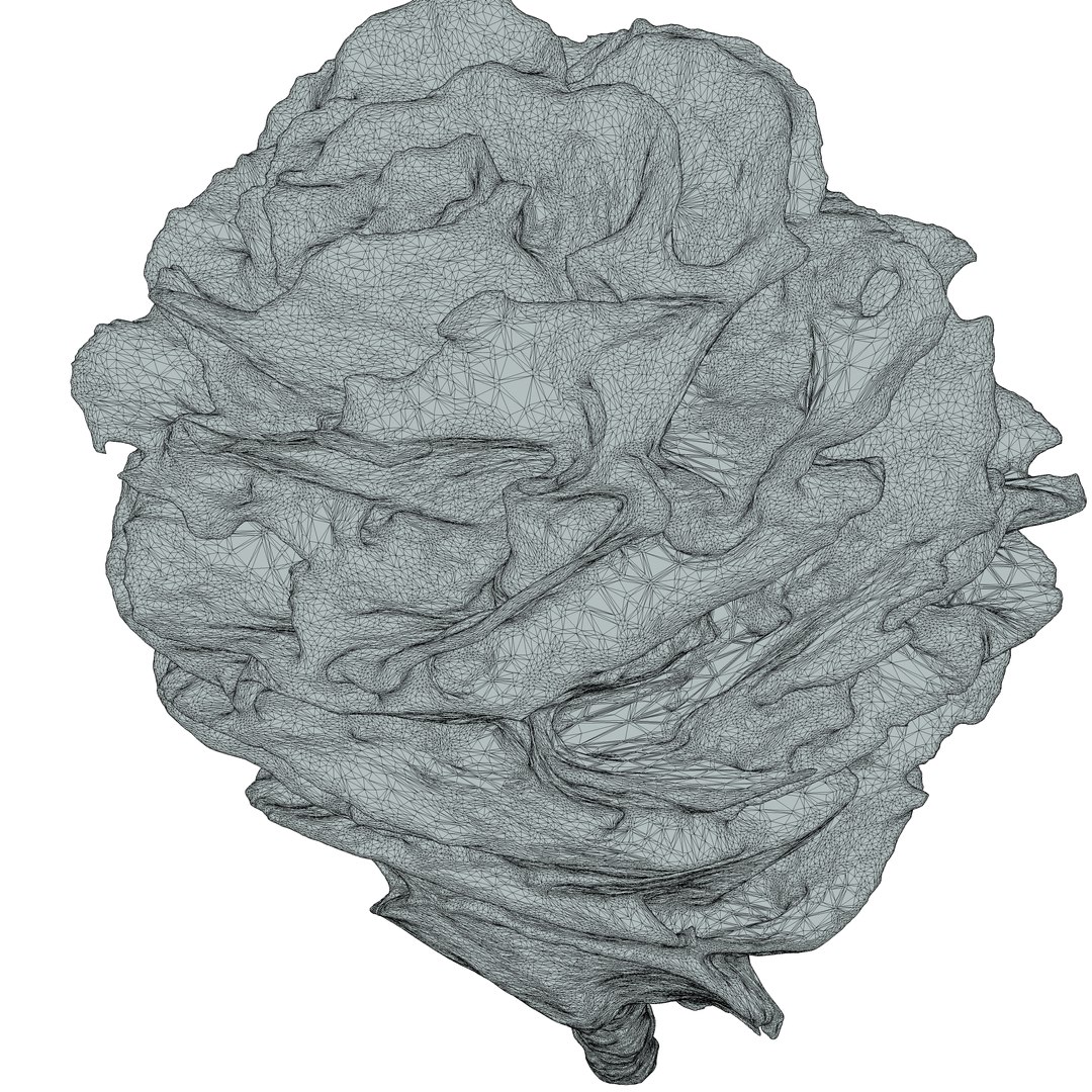 Yellow red flower 3D - TurboSquid 1521890